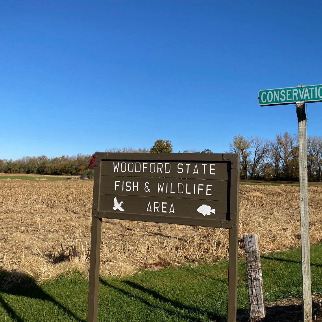 Woodford State Fish and Wildlife Area Camping | Chillicothe, Illinois
