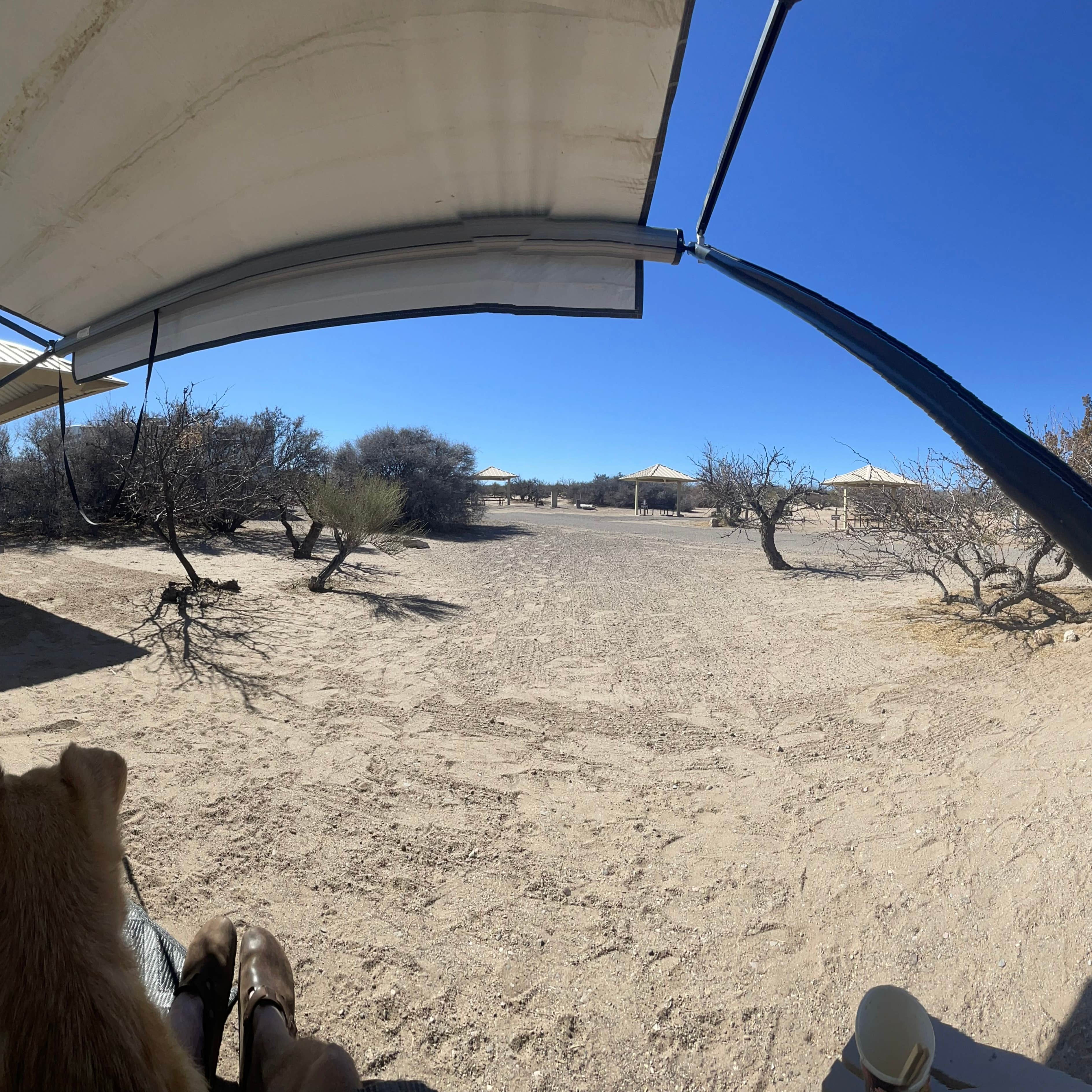 Quail Run Campground — Elephant Butte Lake State Park | Elephant Butte ...