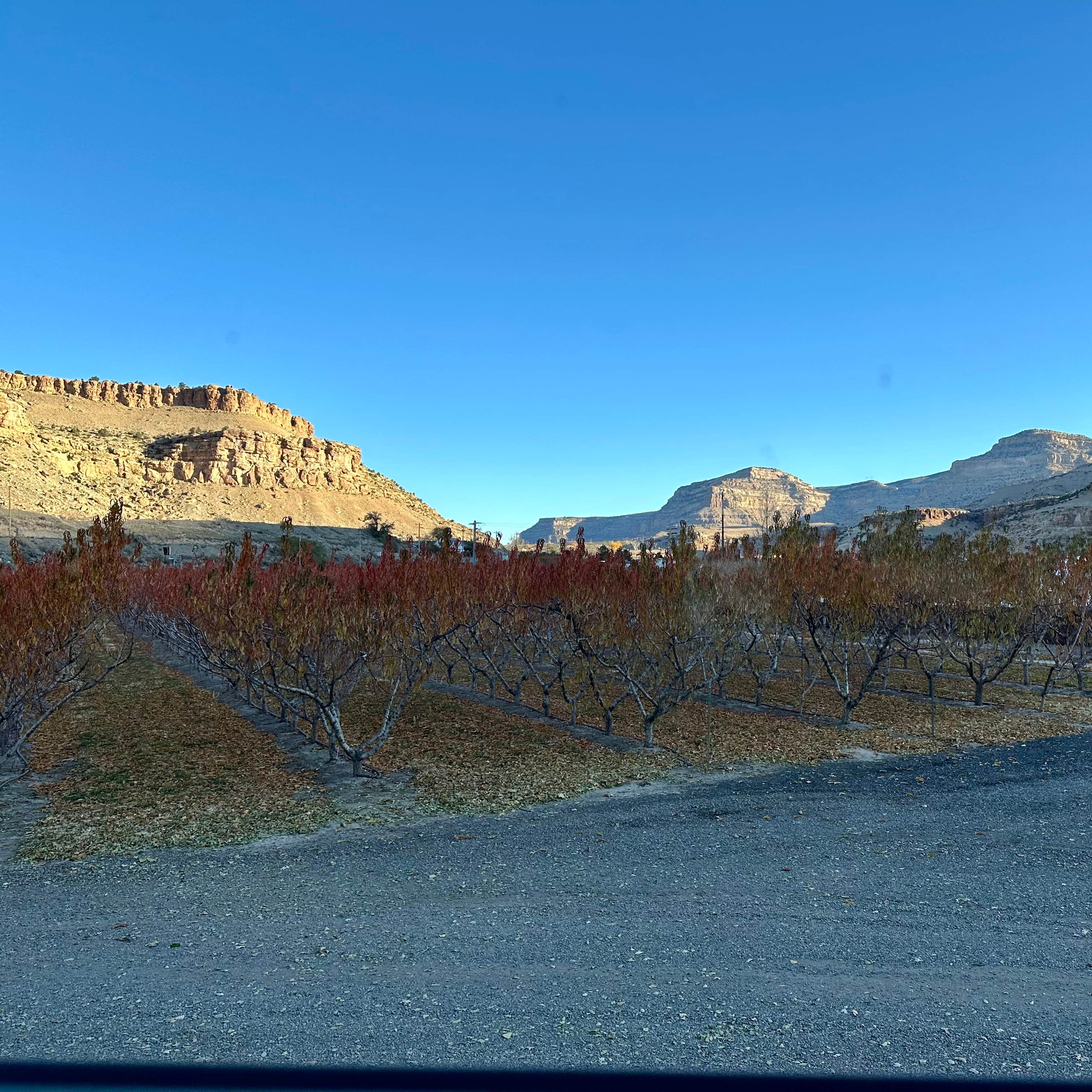 Palisade Basecamp RV Resort | Palisade, Colorado