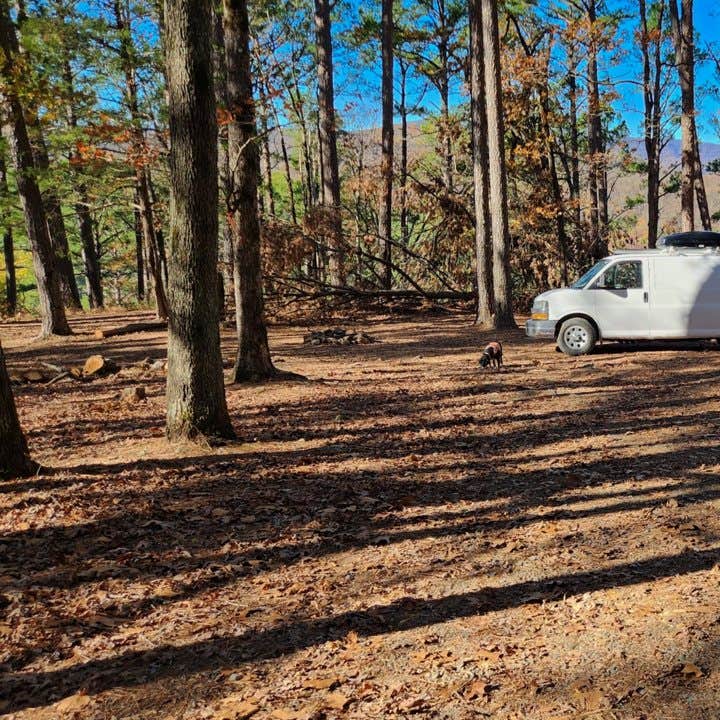 Morgan Mtn Rd/Spy Rock Dispersed Camping | St. Paul, AR