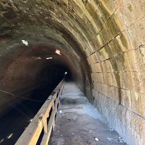 Green Ridge State Forest Camping | Little Orleans, Maryland