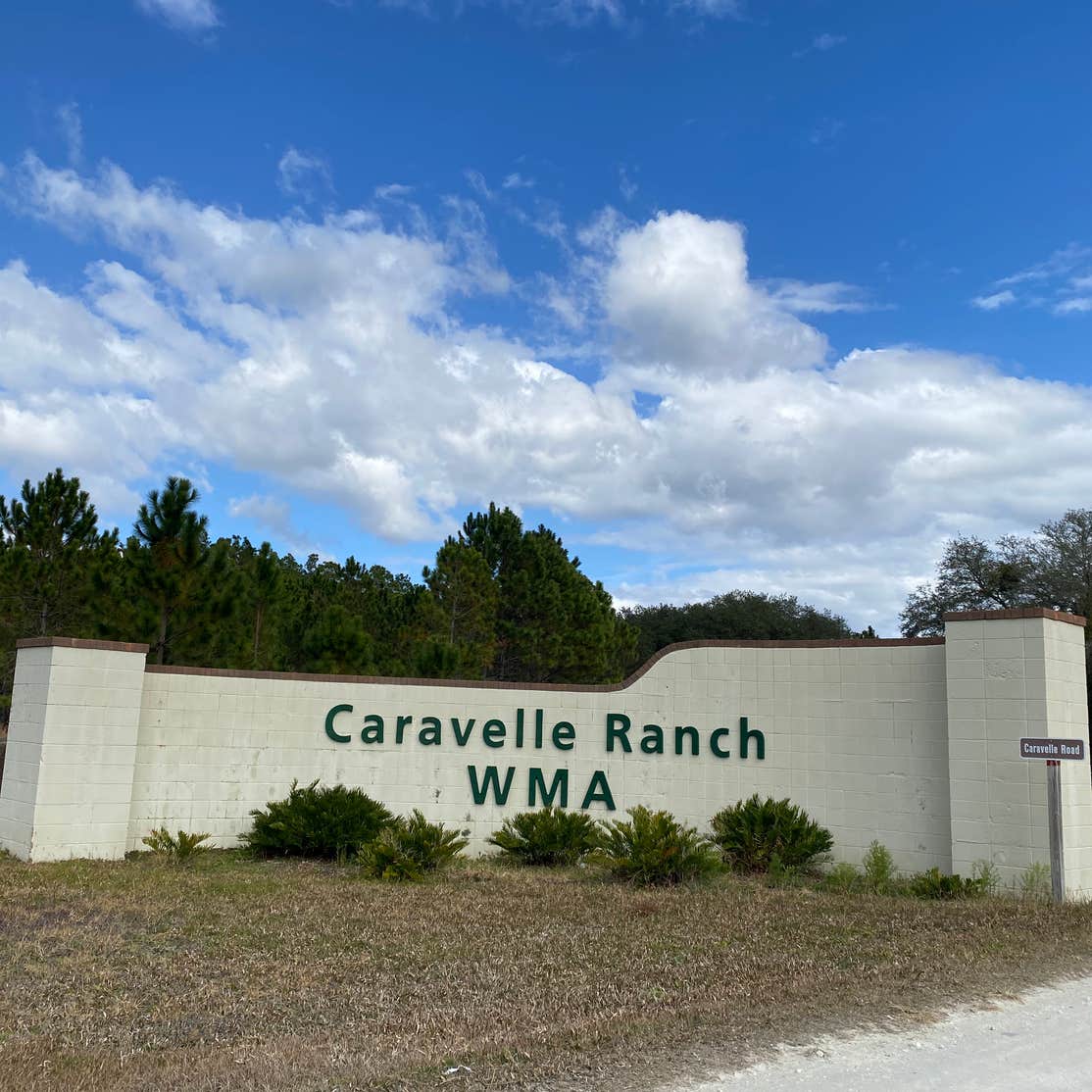 Caravelle Ranch Wildlife Management Area Camping | Welaka, Florida