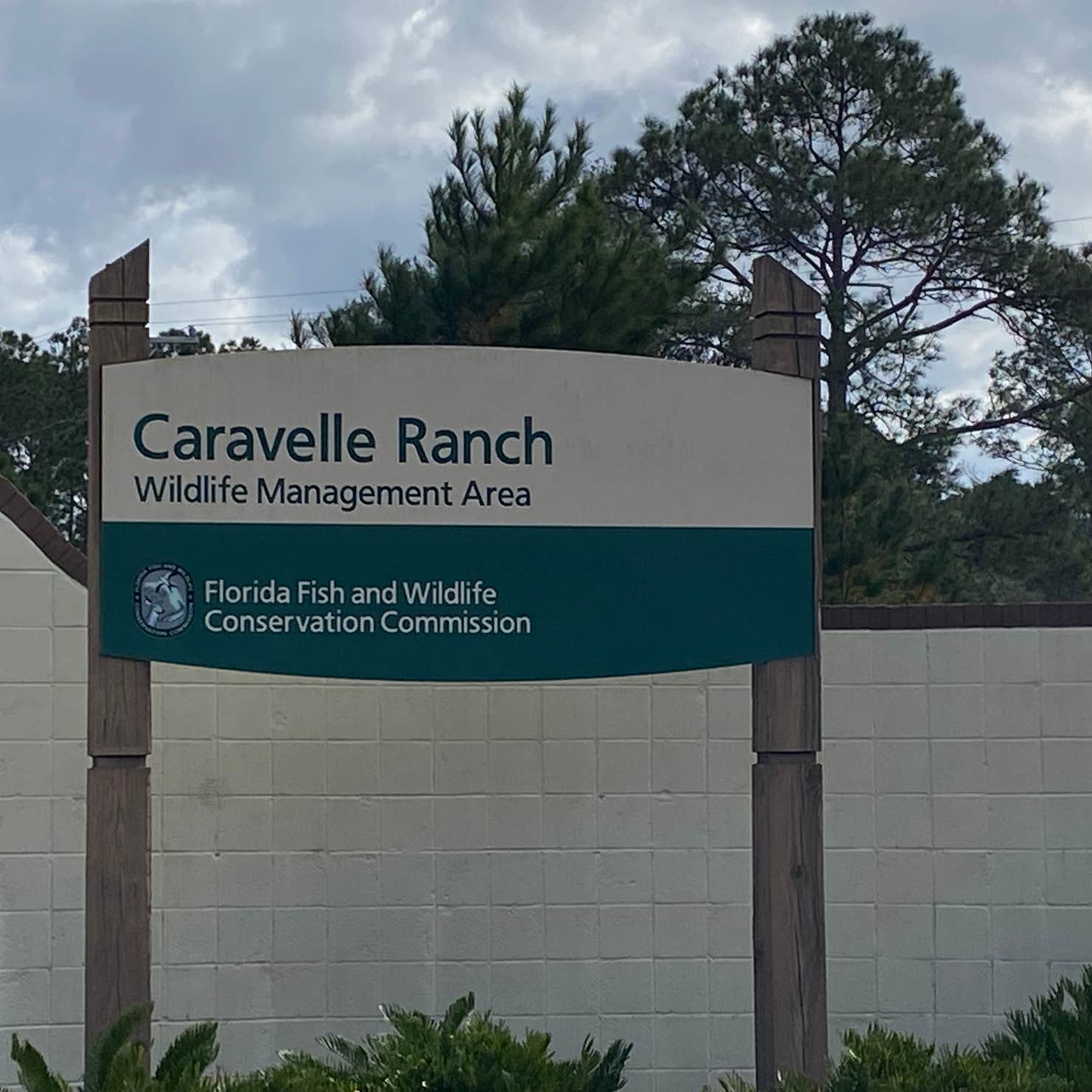 Caravelle Ranch Wildlife Management Area Camping | Welaka, Florida