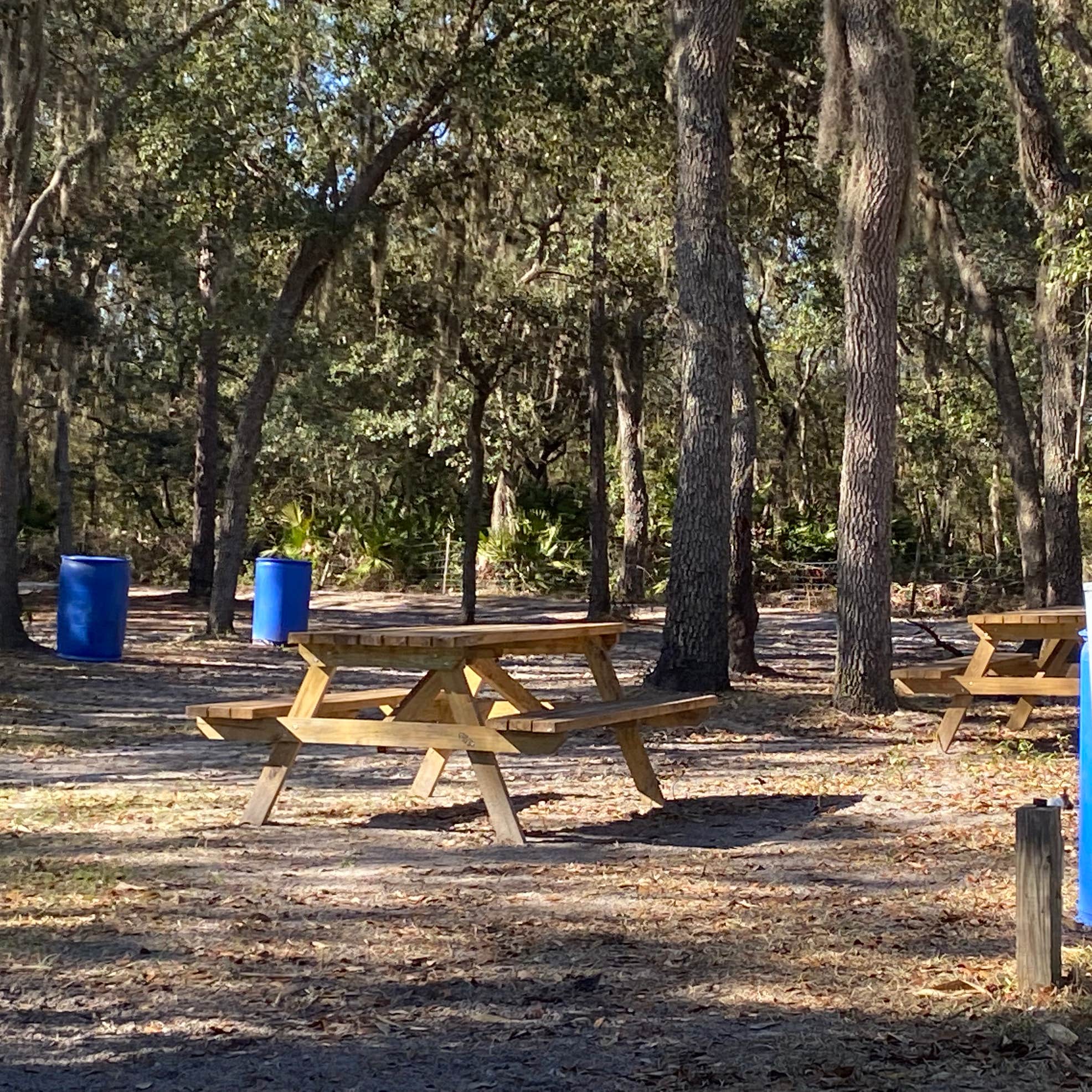 Hog Waller Mud Campground & ATV Resort | Interlachen, Florida