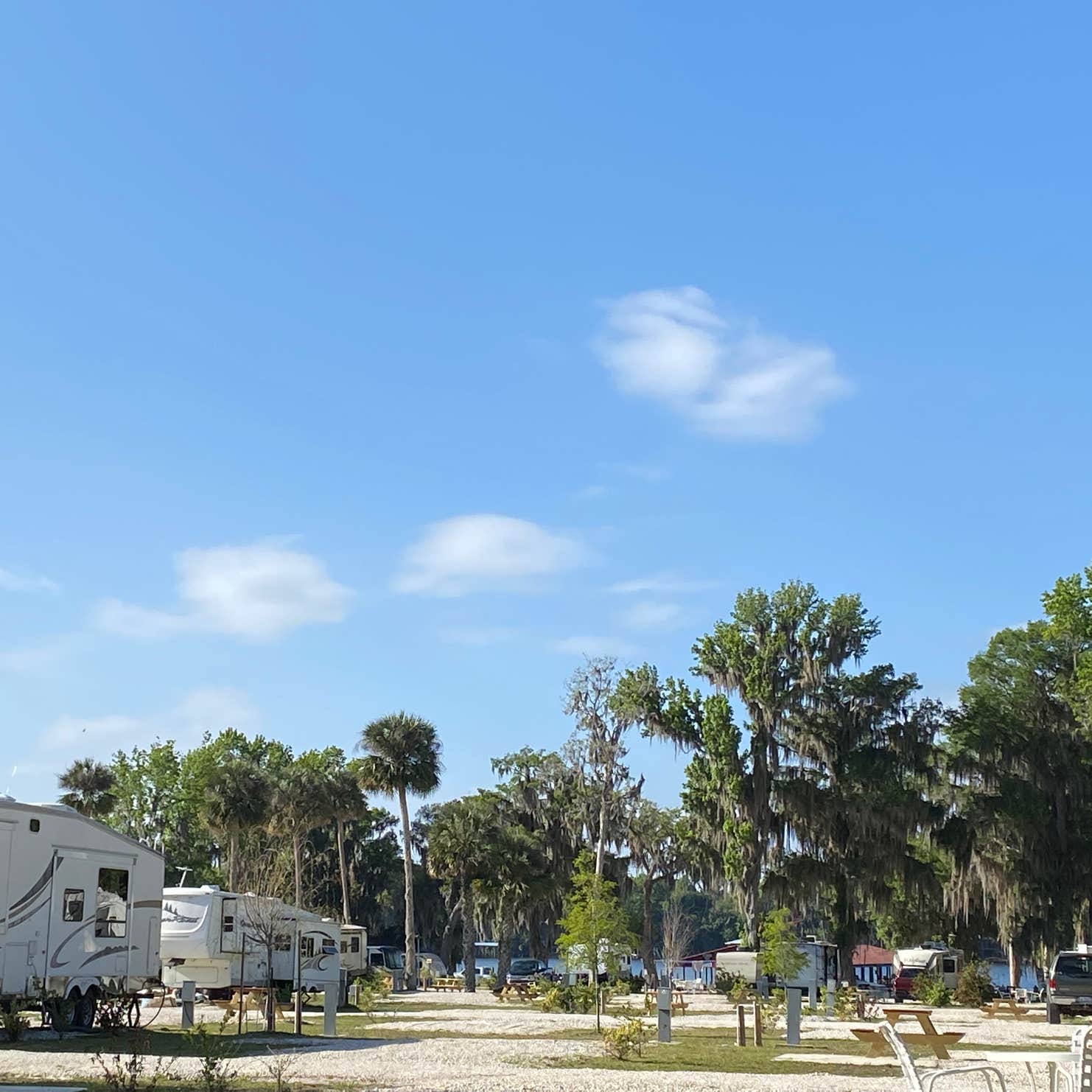 Port Cove RV Resort | Georgetown, Florida