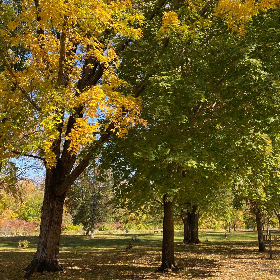 Geneseo Campground | Geneseo, Illinois
