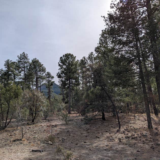 Meadow Creek Road Camping | Hanover, New Mexico