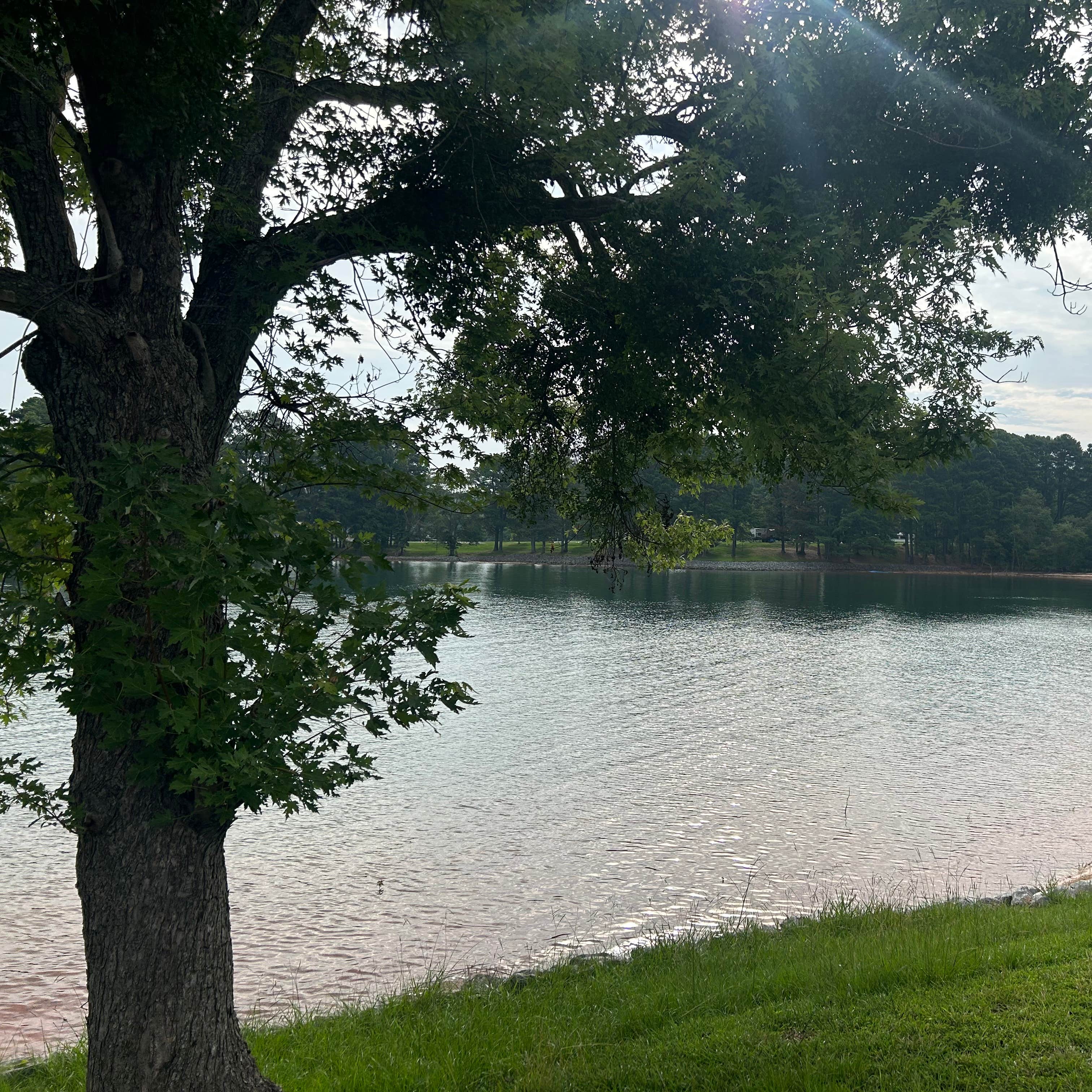 Old Federal Camping | Oakwood, Georgia