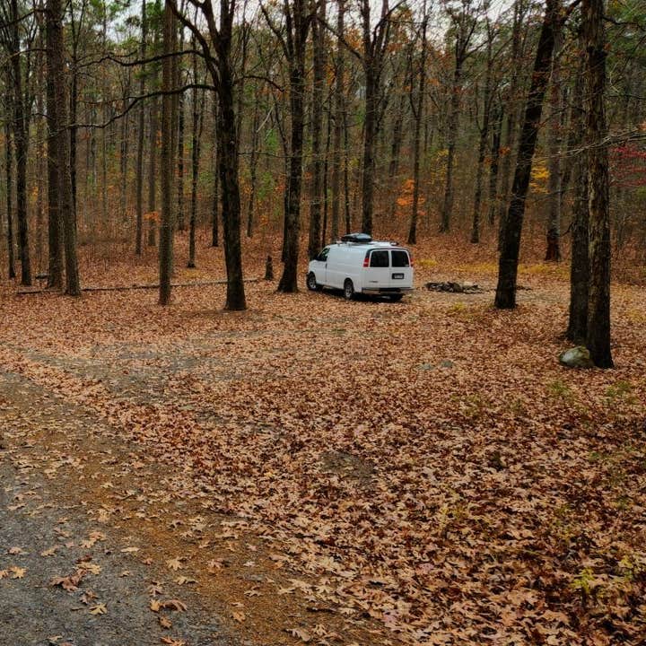 Forest Rd 179 Dispersed Camping | Paron, Arkansas