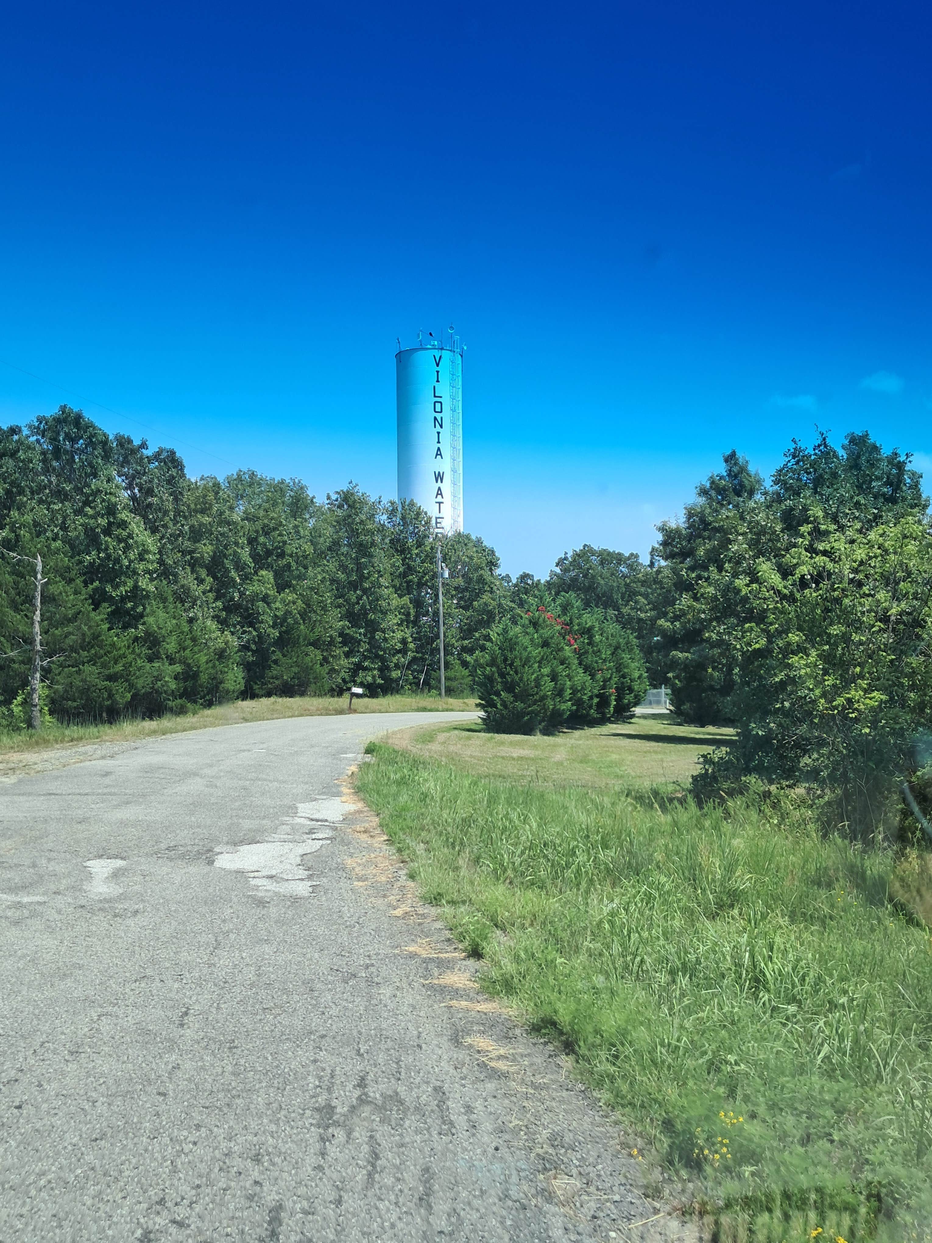 Barefoot Gardens Homestead Camp and Learning Center | Greenbrier, Arkansas