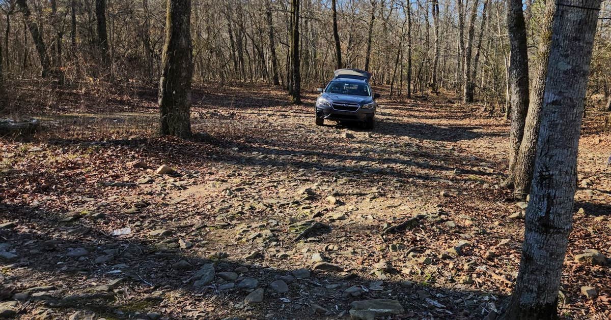 Forest Rd 179 Creekside Dispersed Camping | Paron, Arkansas