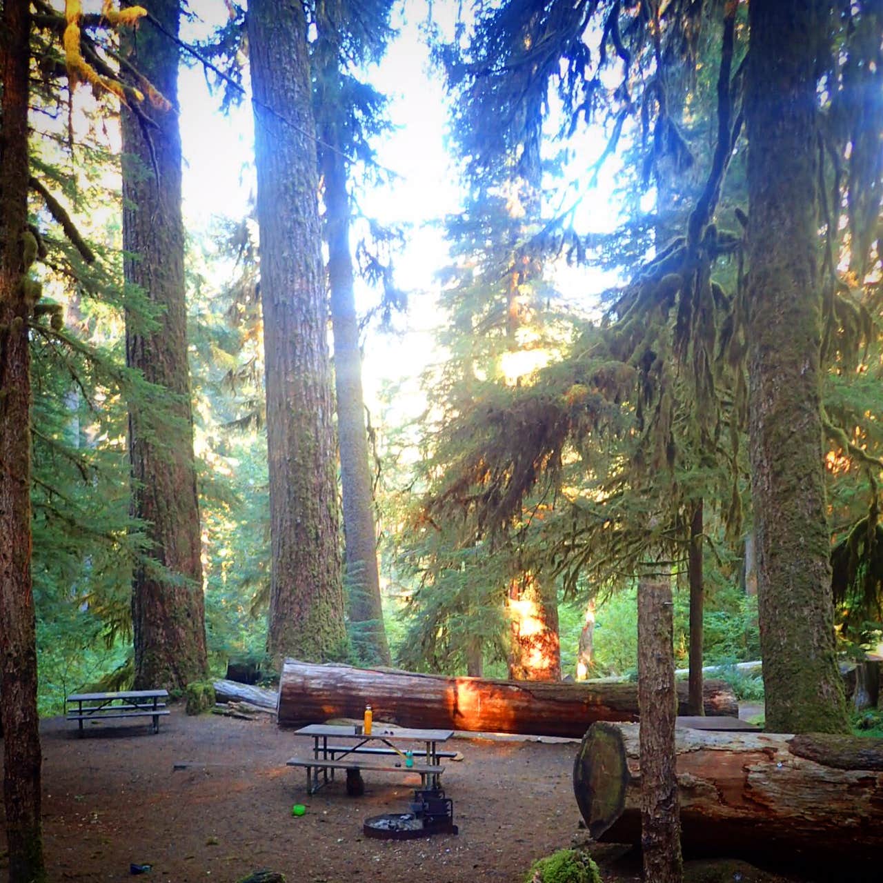 Sol Duc Hot Springs Resort Campground | The Dyrt
