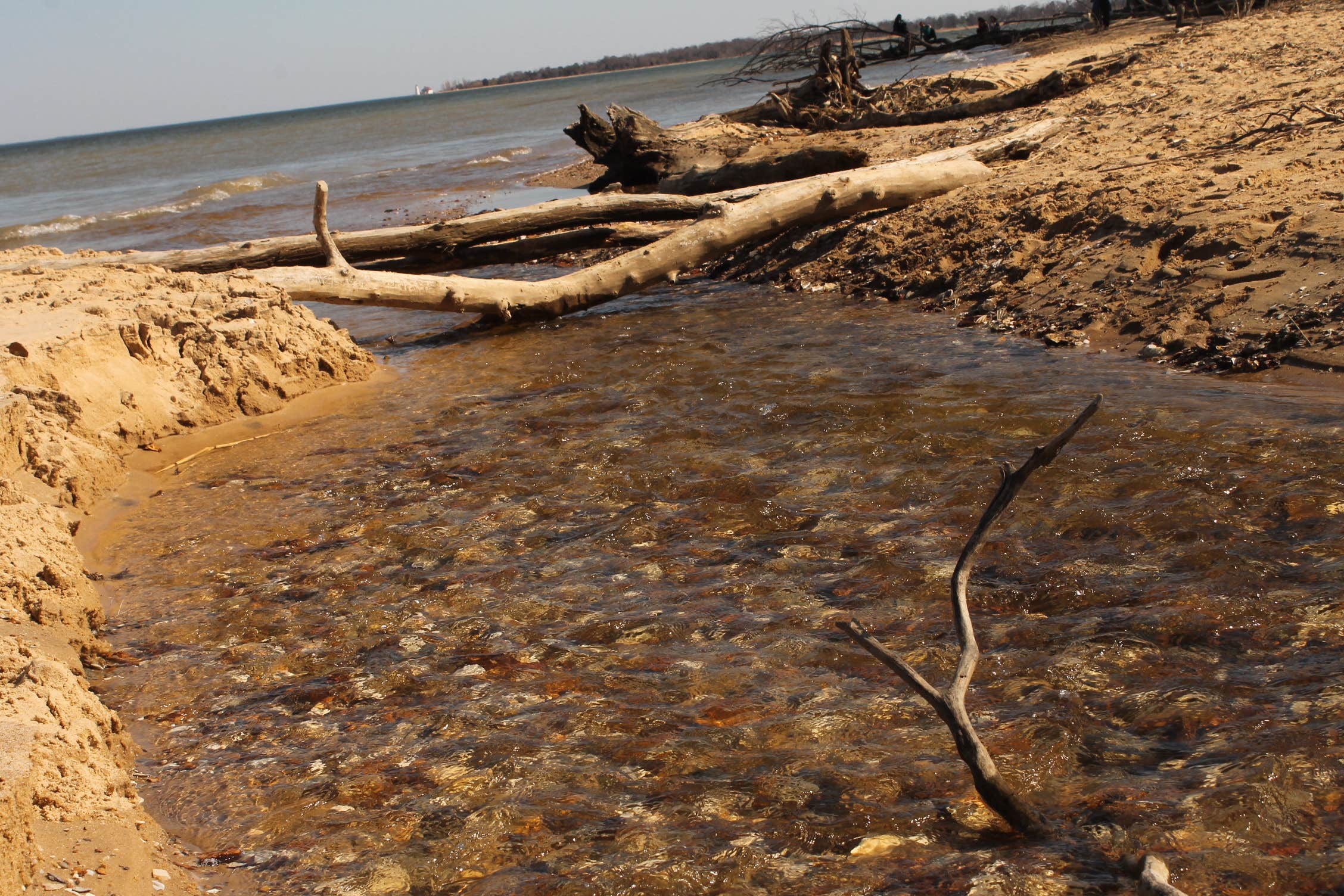 Calvert Cliffs State Park Youth Group Camping | Lusby, MD