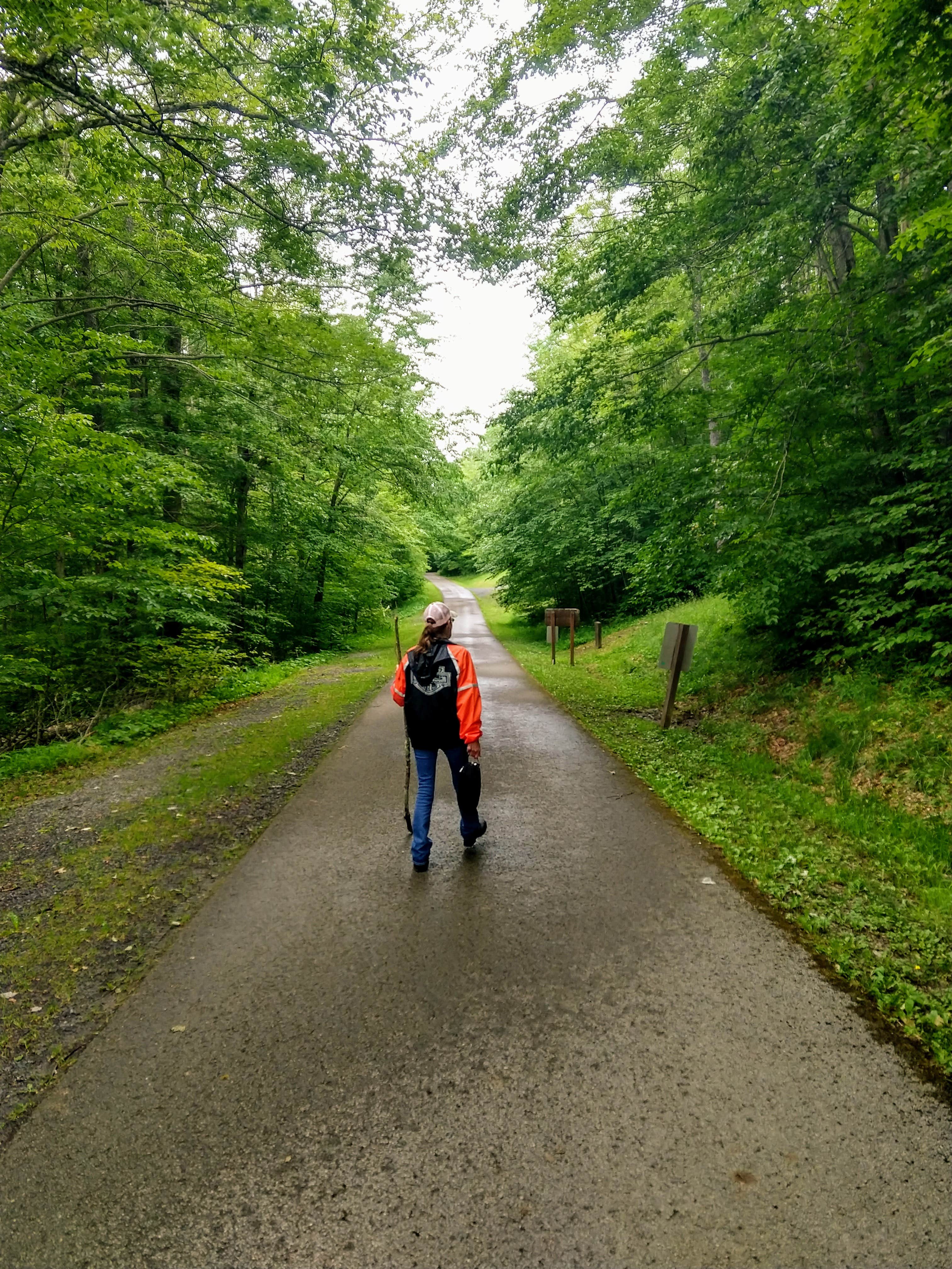 Spruce Knob and Spruce Knob Observation Tower | The Dyrt