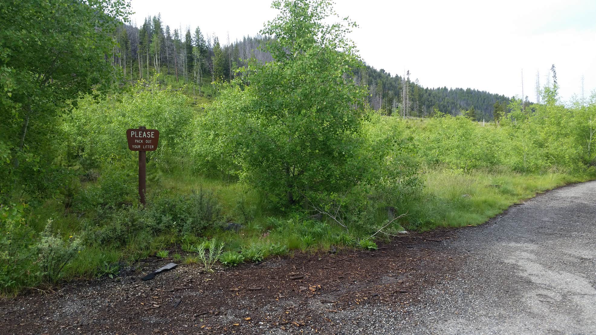 Ladysmith Camping | The Dyrt