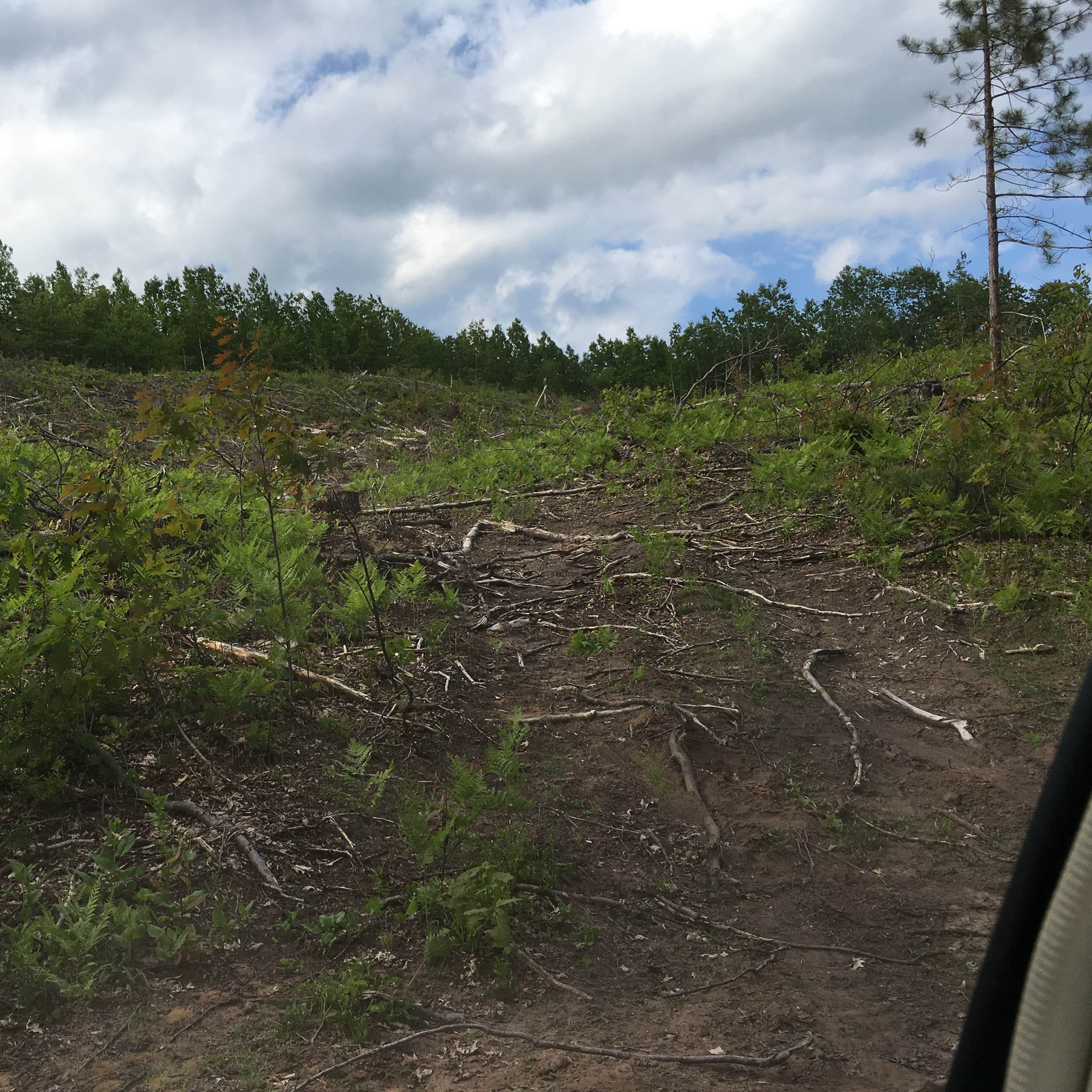 Birch Grove Campground Camping | The Dyrt