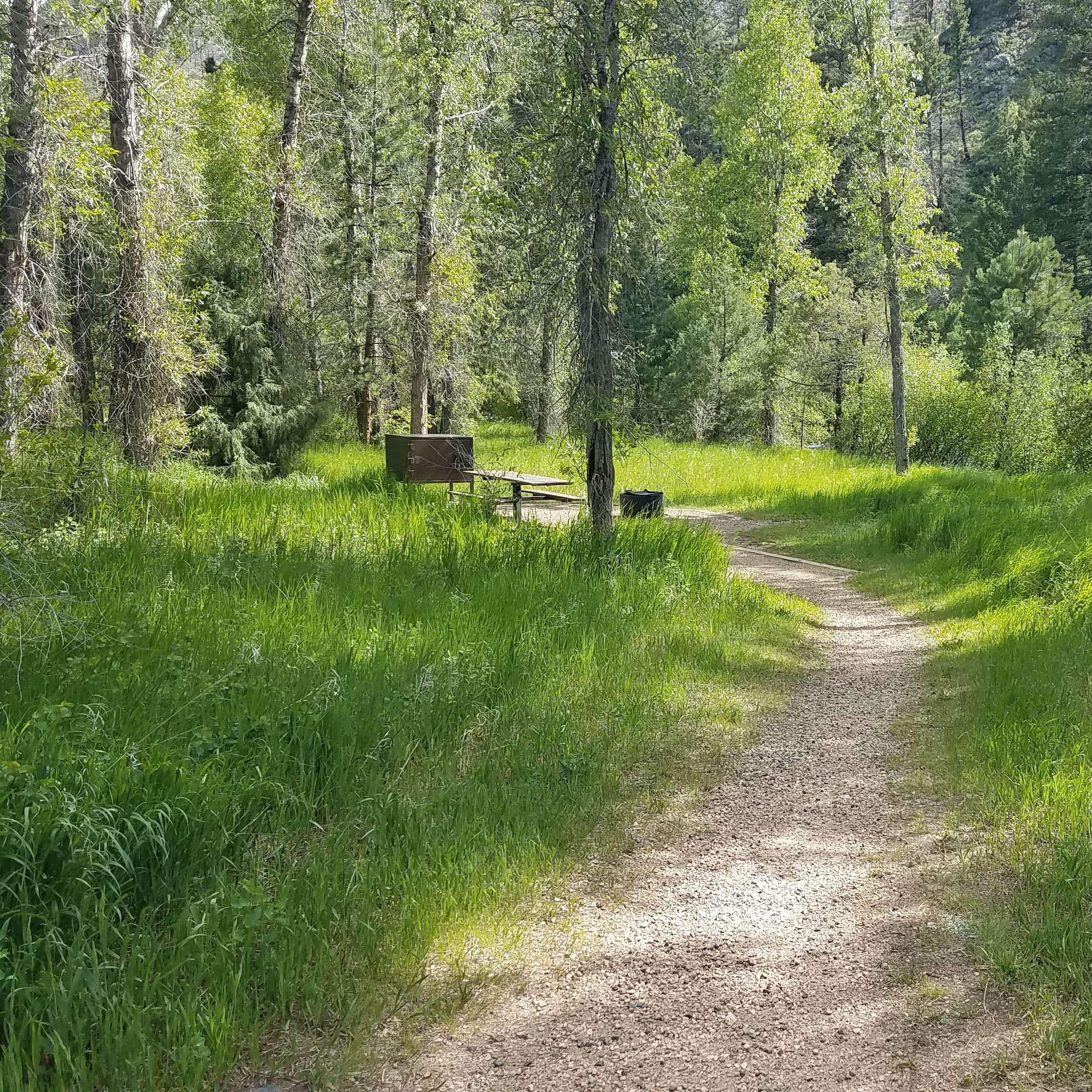 Kelly Flats Campground Camping | The Dyrt