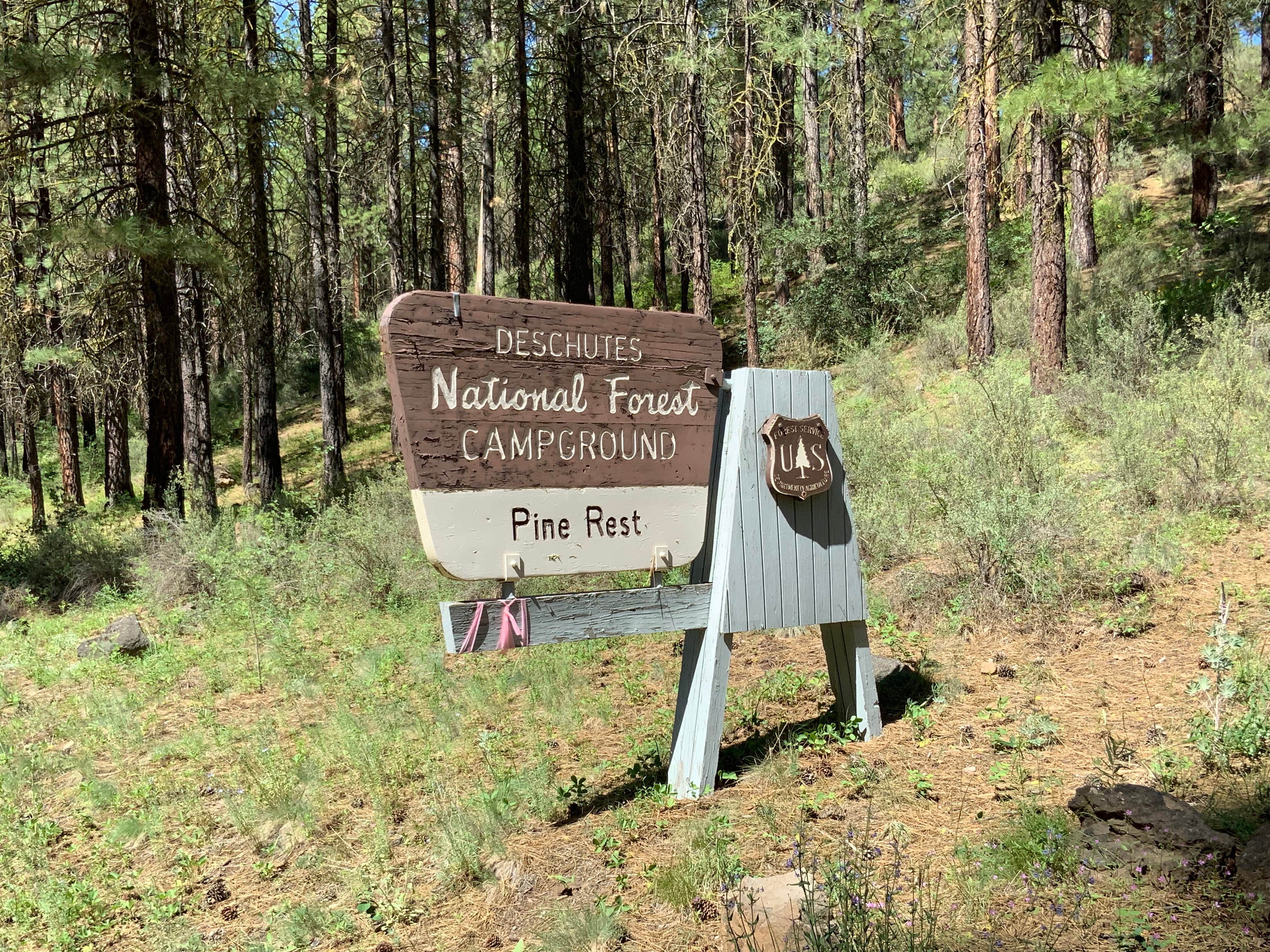 Pine Rest Campground | The Dyrt