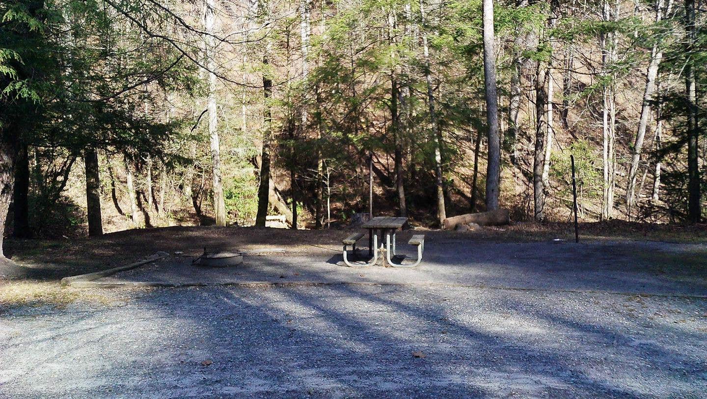 Low Gap Campground — Chattahoochee Oconee National Forest | Rabun Gap ...