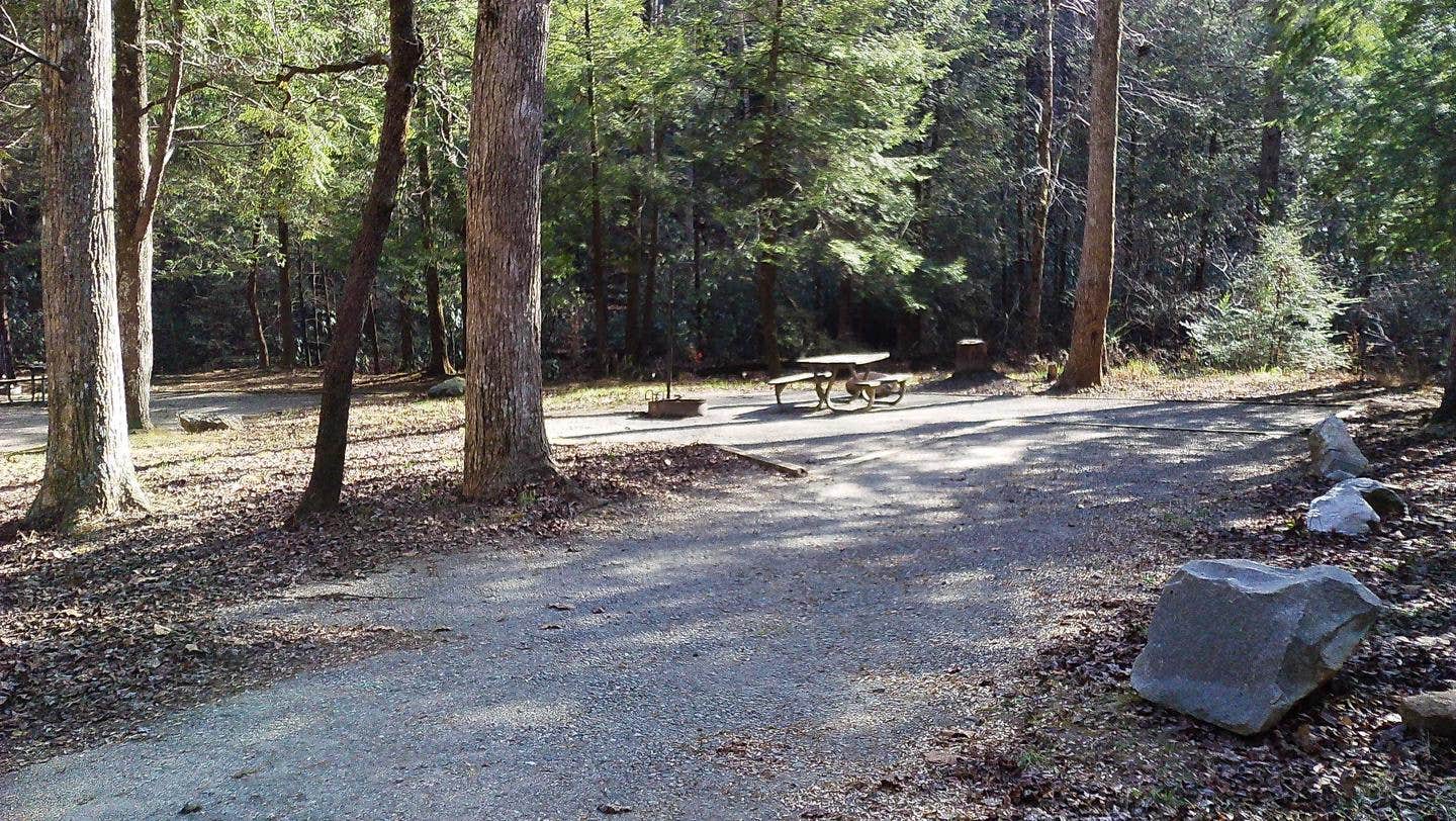 Low Gap Campground — Chattahoochee Oconee National Forest | Rabun Gap ...