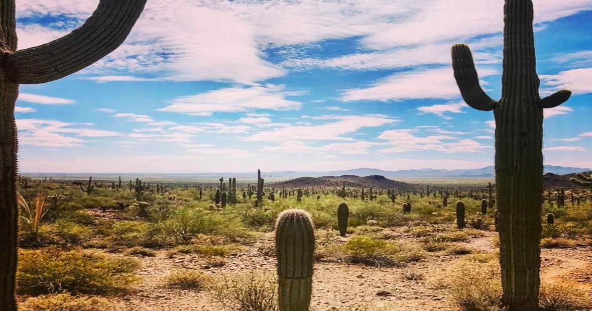 Wild West RV Ranch | Stanfield, Arizona
