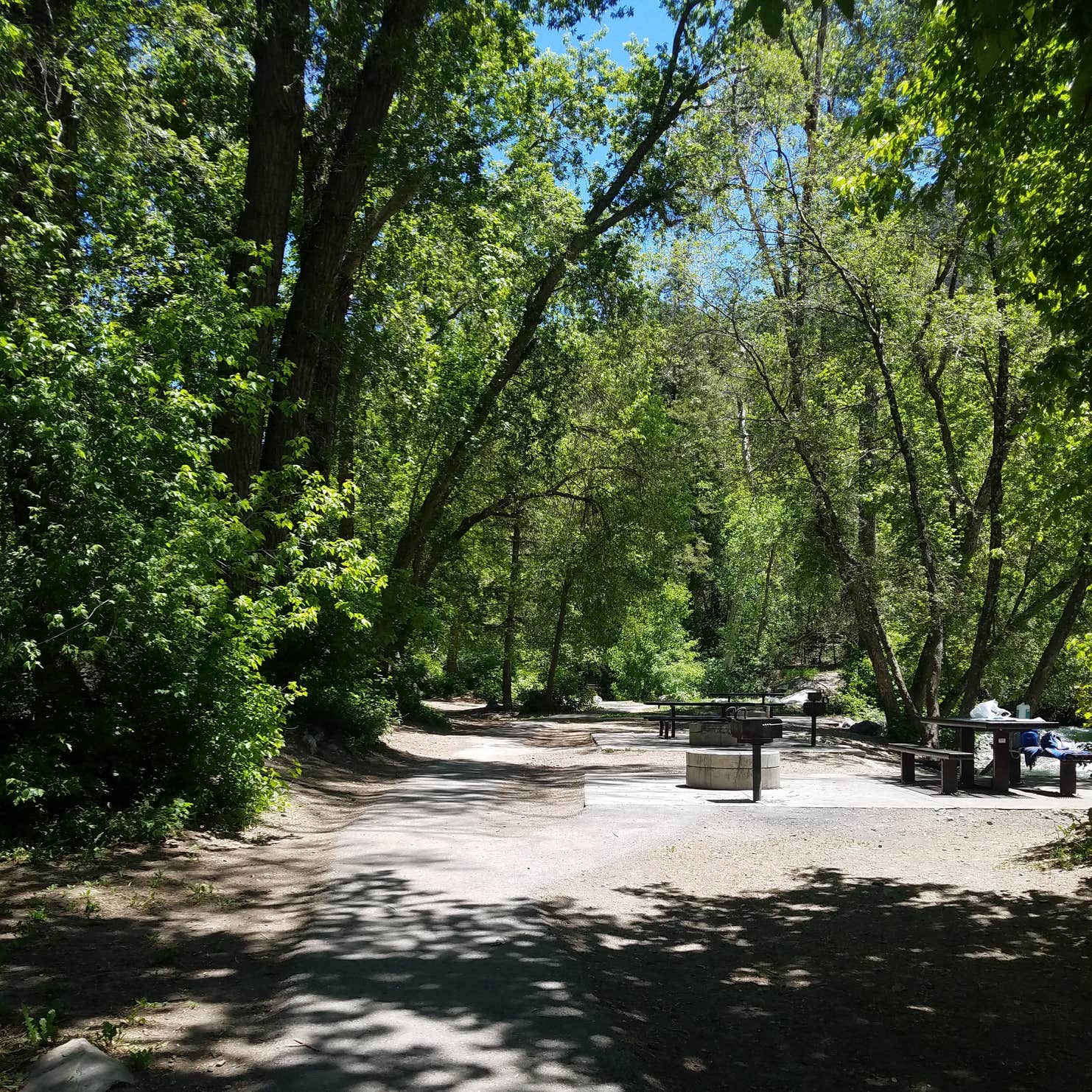 Sawmill Picnic Camping | Mutual Dell, UT