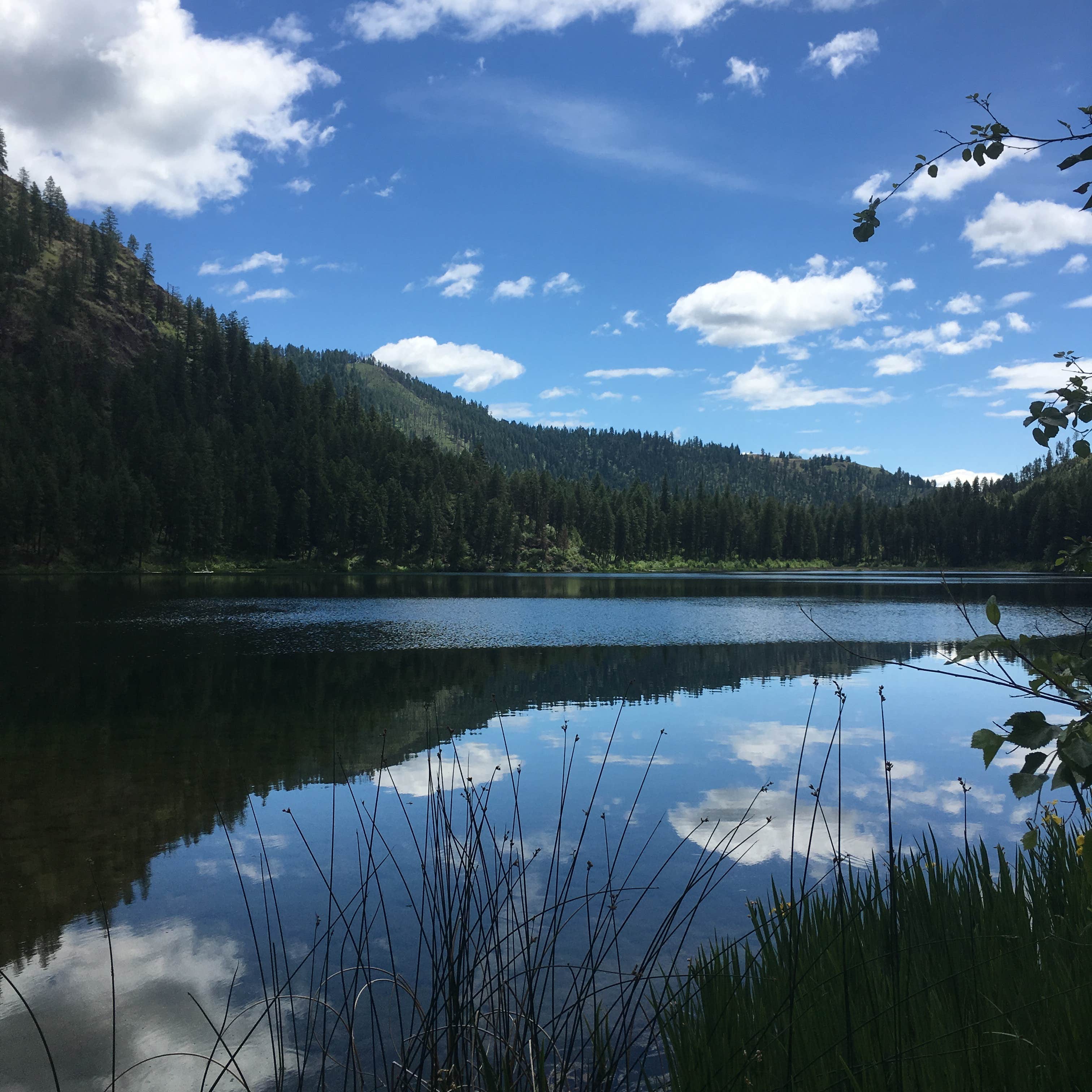 Pierre Lake Campground | Kettle Falls, WA