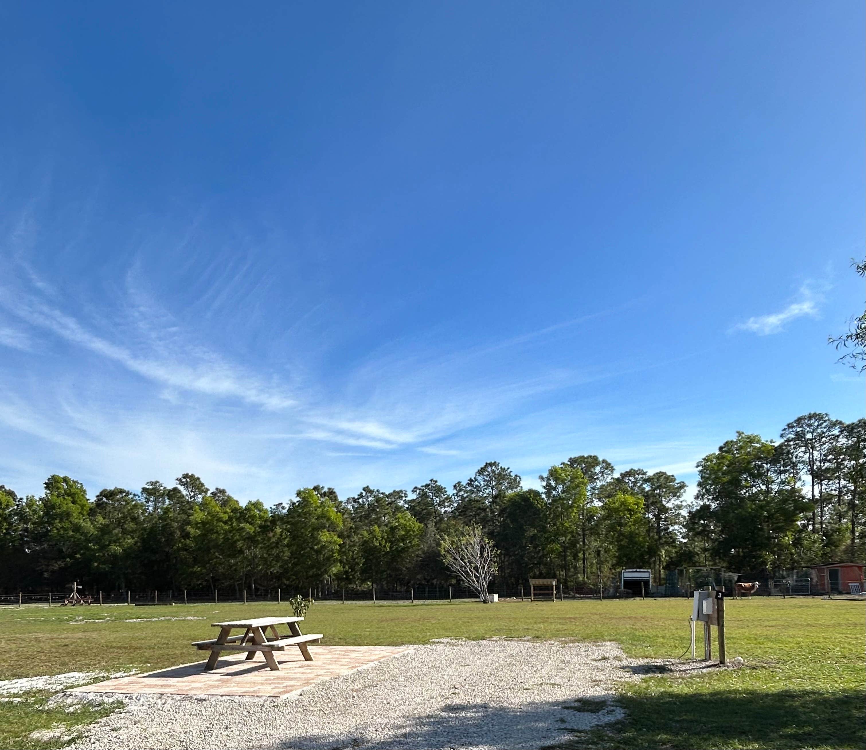 Golden Gate Farm Camping | Immokalee, Florida
