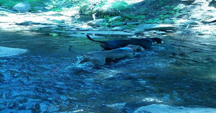 Camper-Submitted Photos of Little Sandy Campground