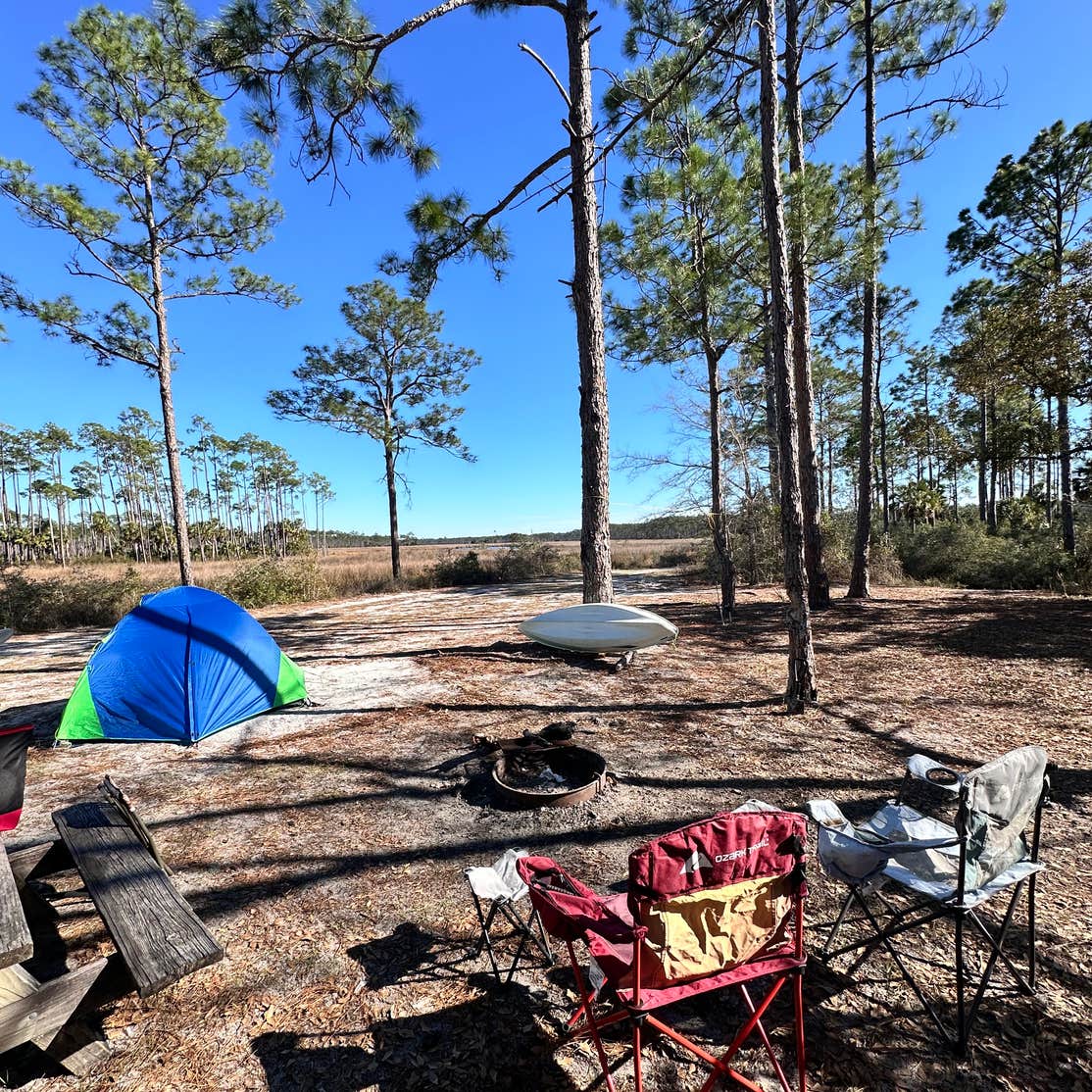 Tate's Hell State Forest High Bluff Primitive Campsites, FL | Eastpoint ...