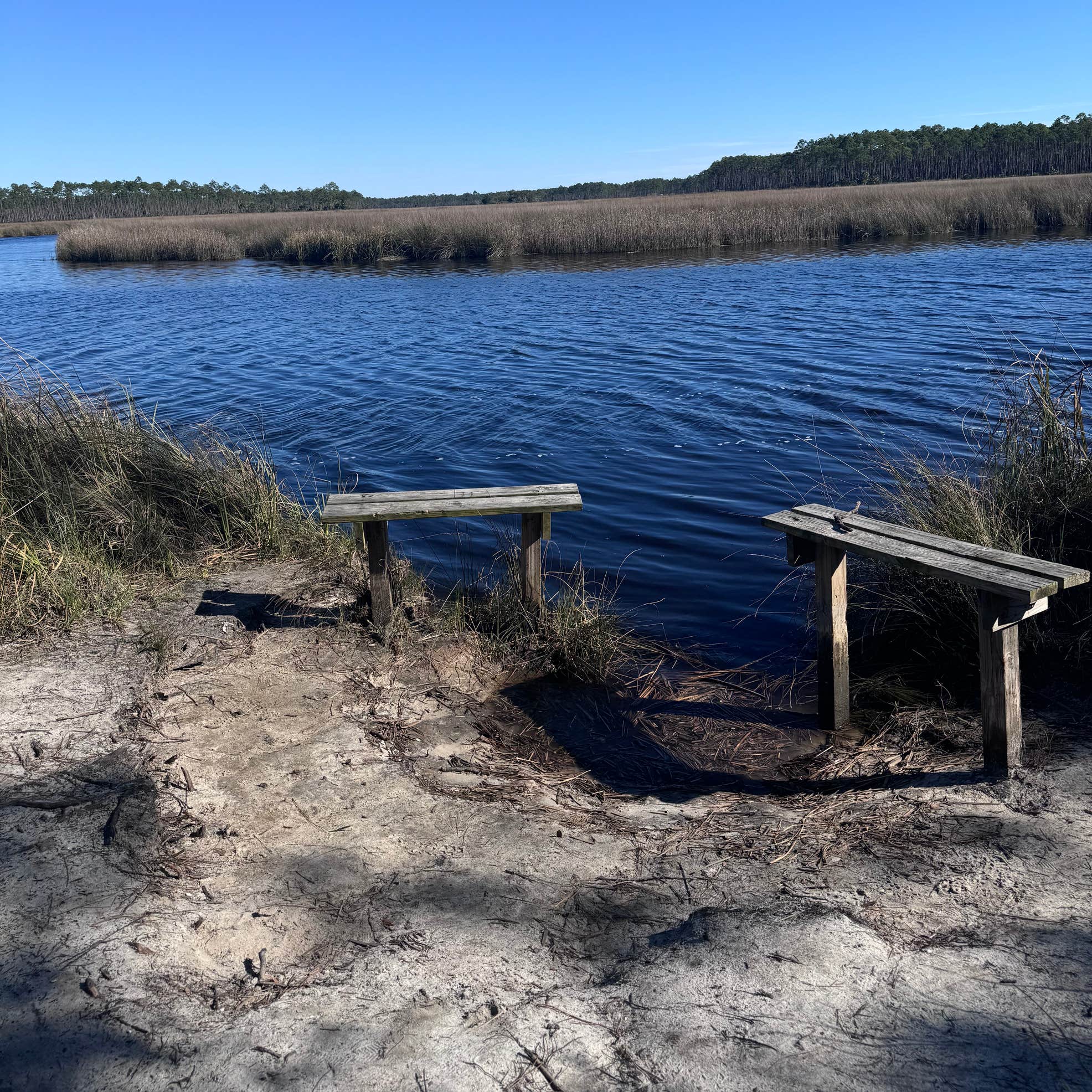 Tate's Hell State Forest High Bluff Primitive Campsites, FL | Eastpoint ...