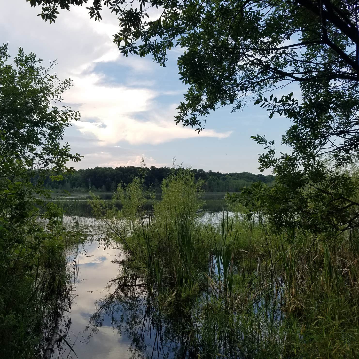 Murray Lake Campground | Brighton, Michigan