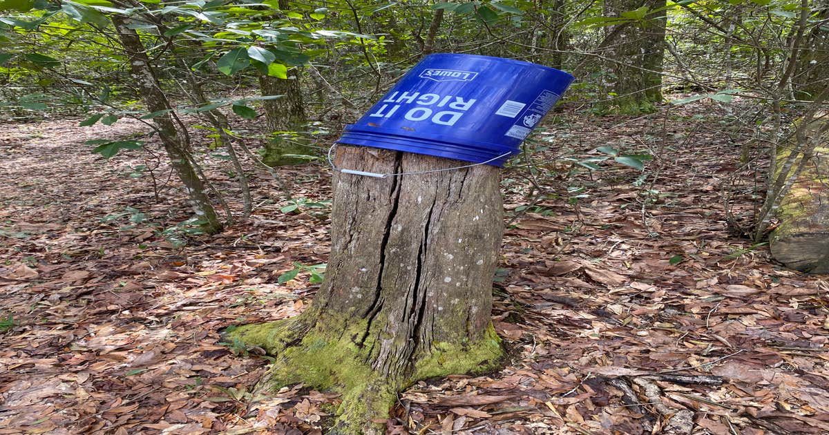 Mule Landing Campsite on the Pioneer Trail | Middleburg, Florida