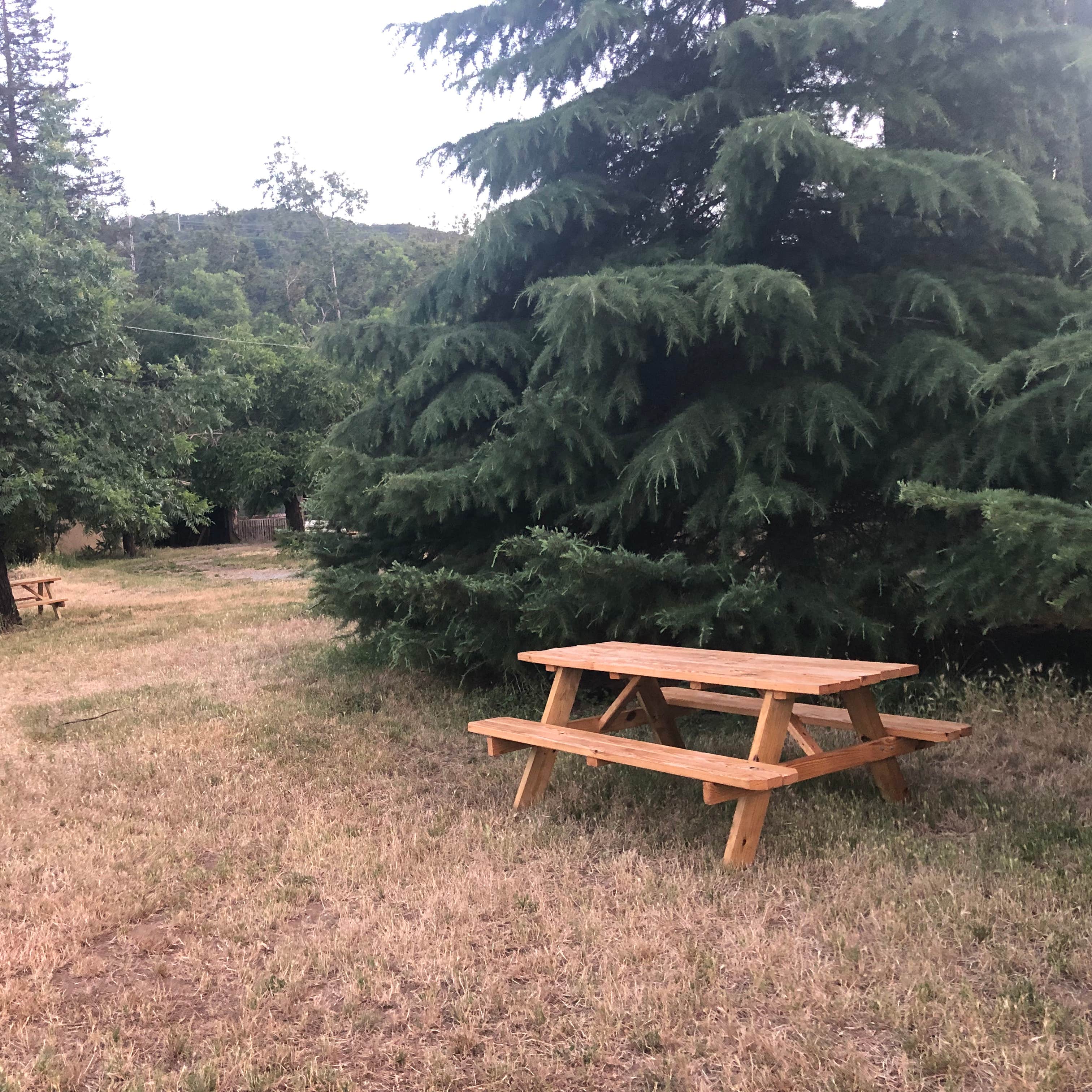 Stepping Stone Farm Camping | The Dyrt