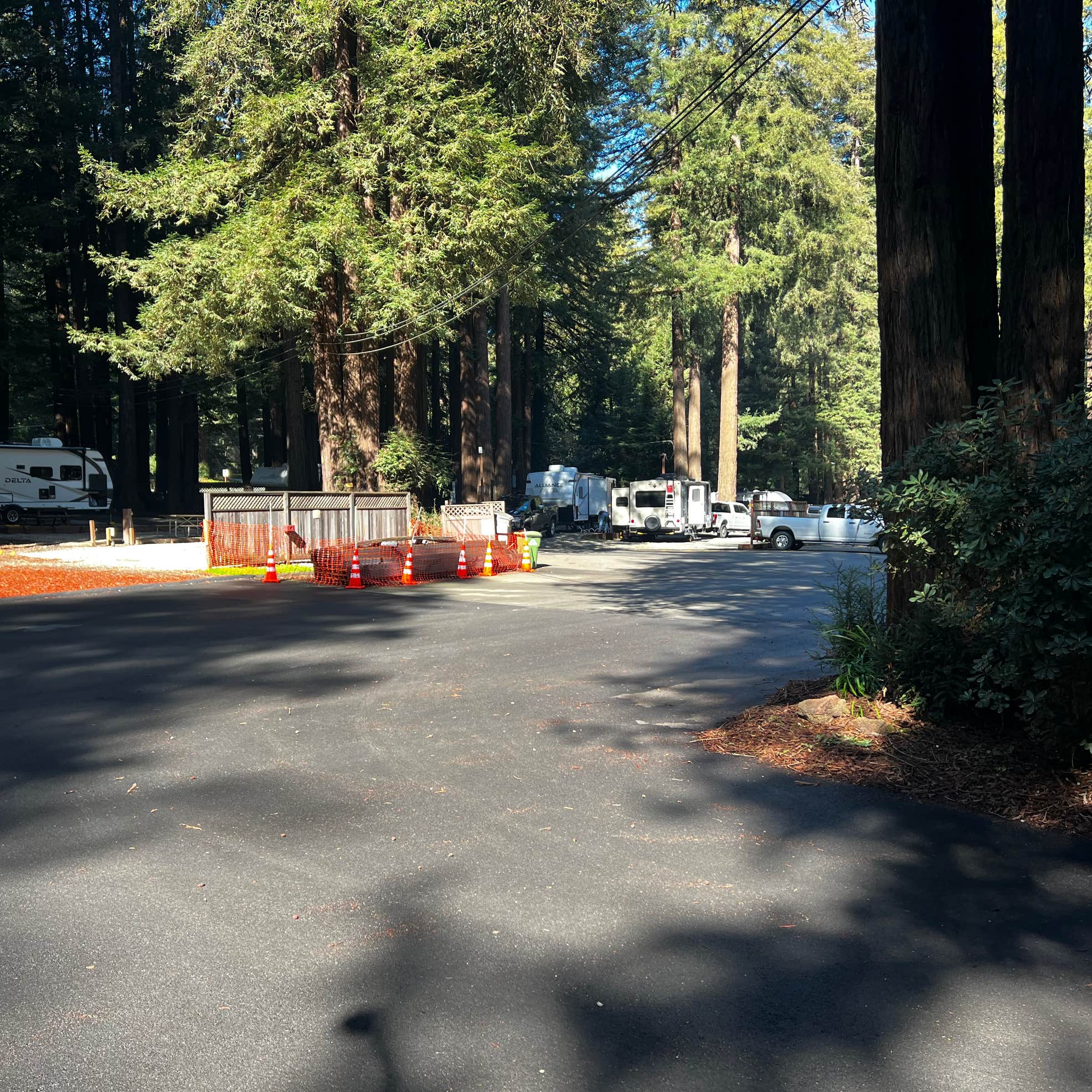 Santa Cruz Redwoods RV Resort | Felton, California