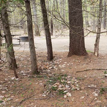 Covered Bridge Camping | The Dyrt