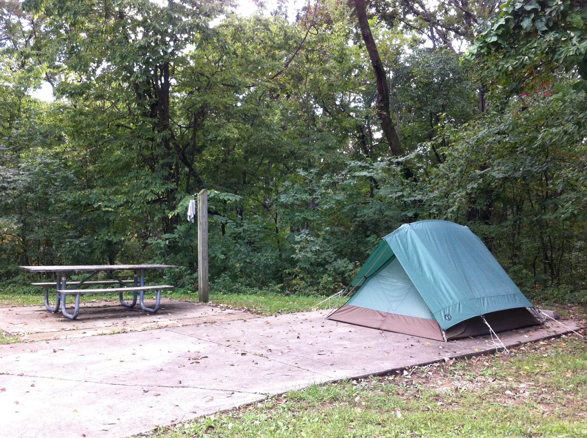 Dr. Edmund A. Babler Memorial State Park Campground | Wildwood, Missouri