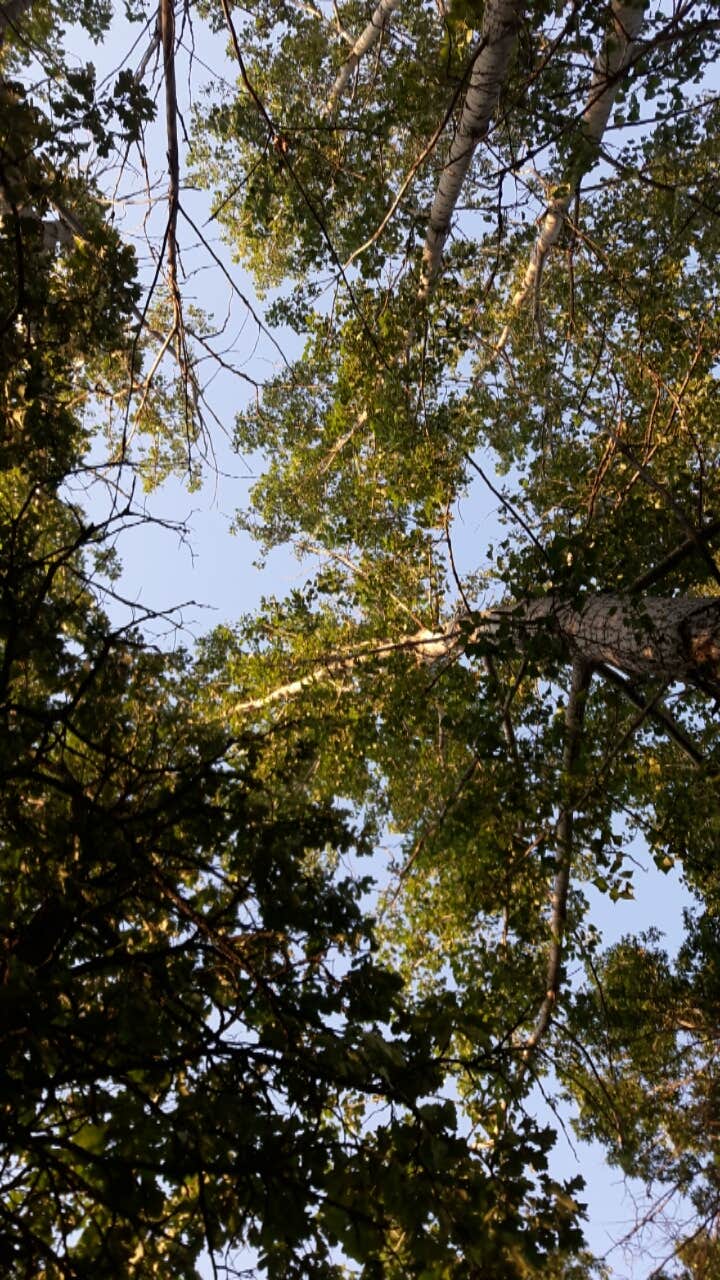 St. Croix Bluffs Regional Park Camping | Denmark, Minnesota