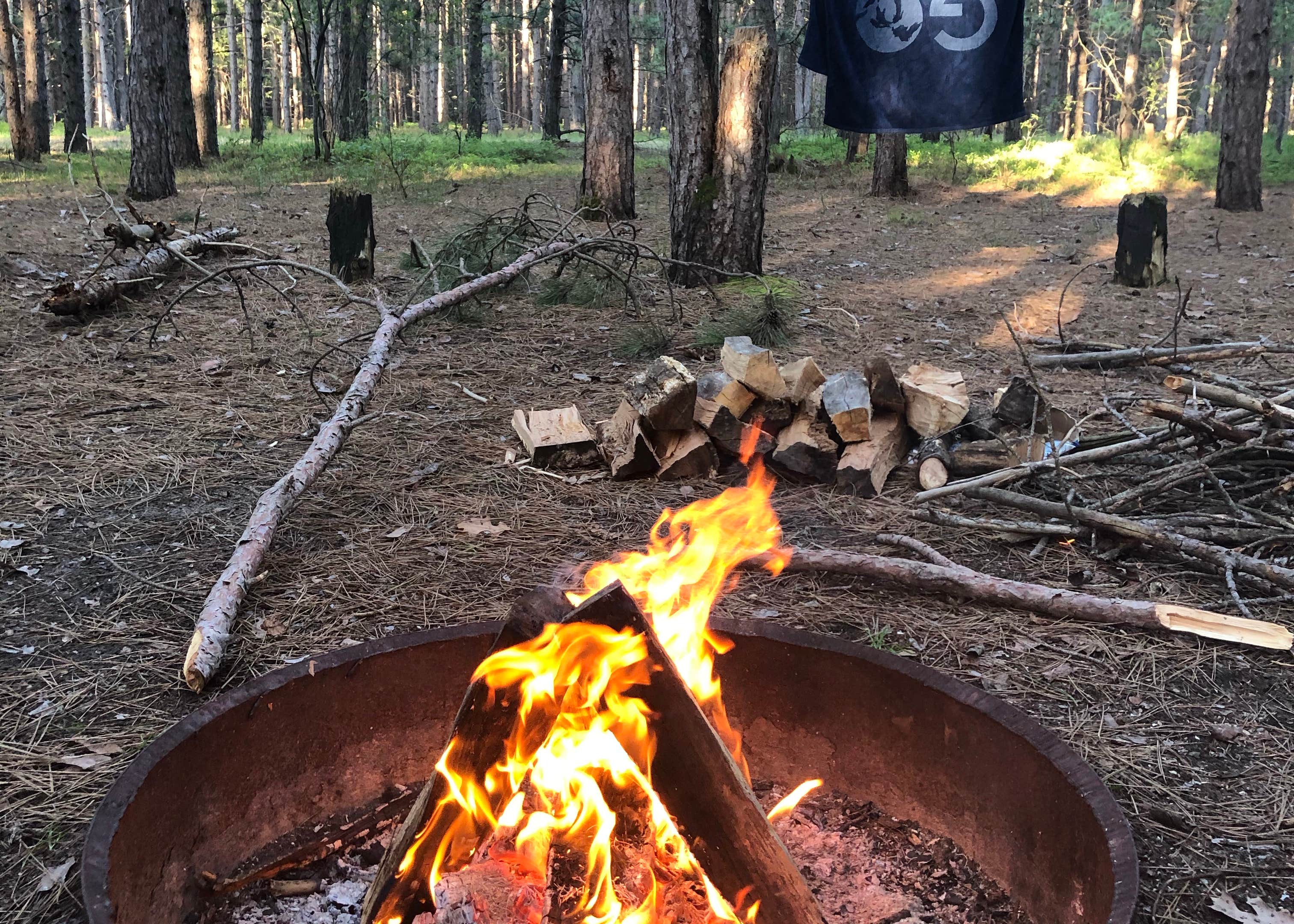 CCC Bridge State Forest Campground Camping | The Dyrt
