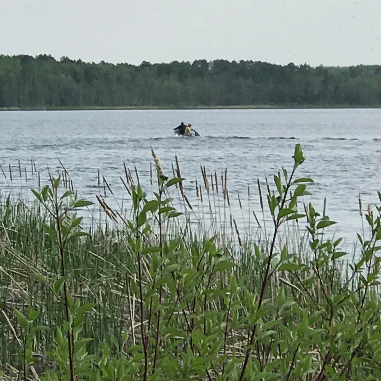 Eagle Ridge Campground Camping | The Dyrt