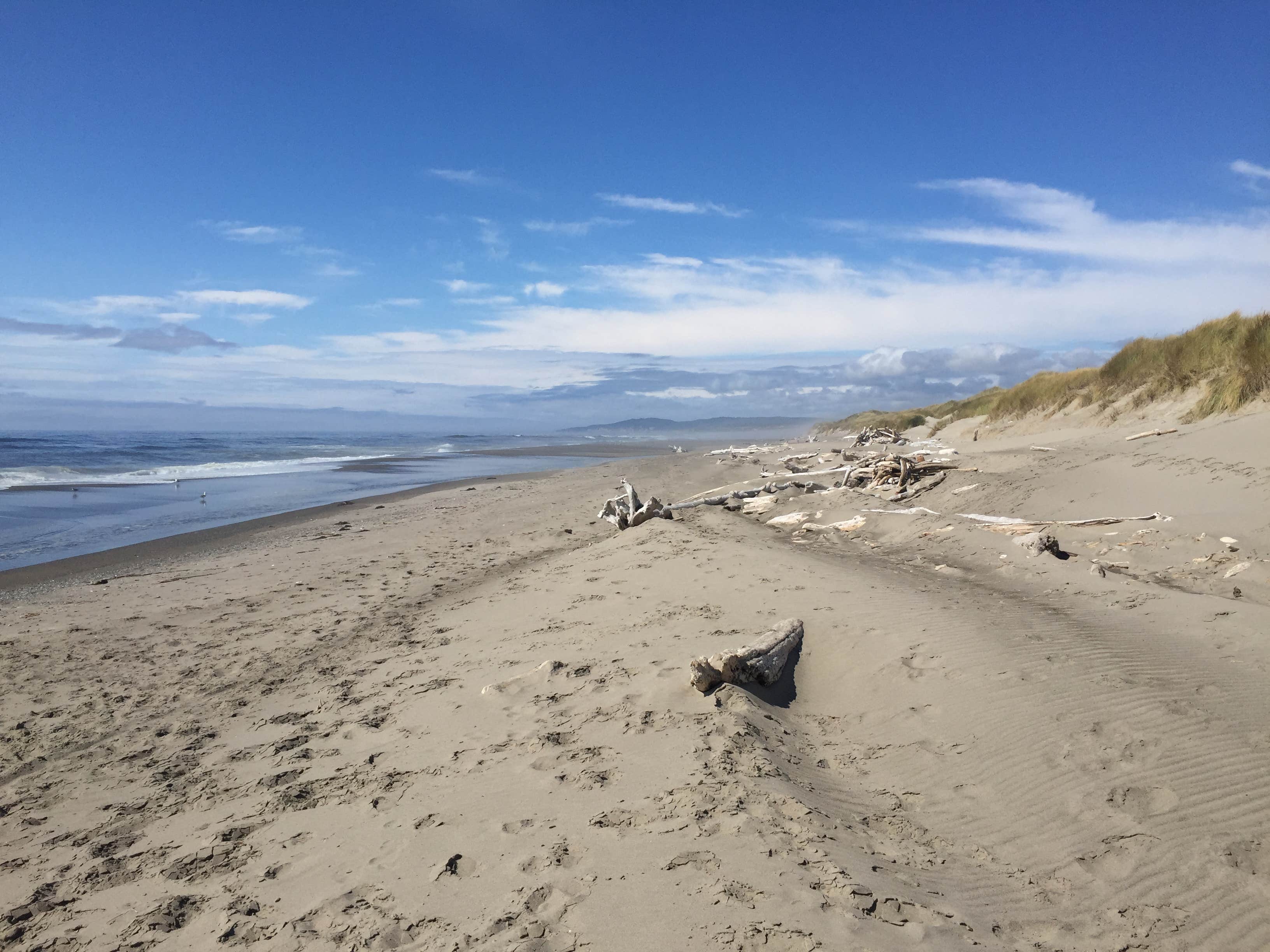 Bullards Beach State Park Camping | The Dyrt
