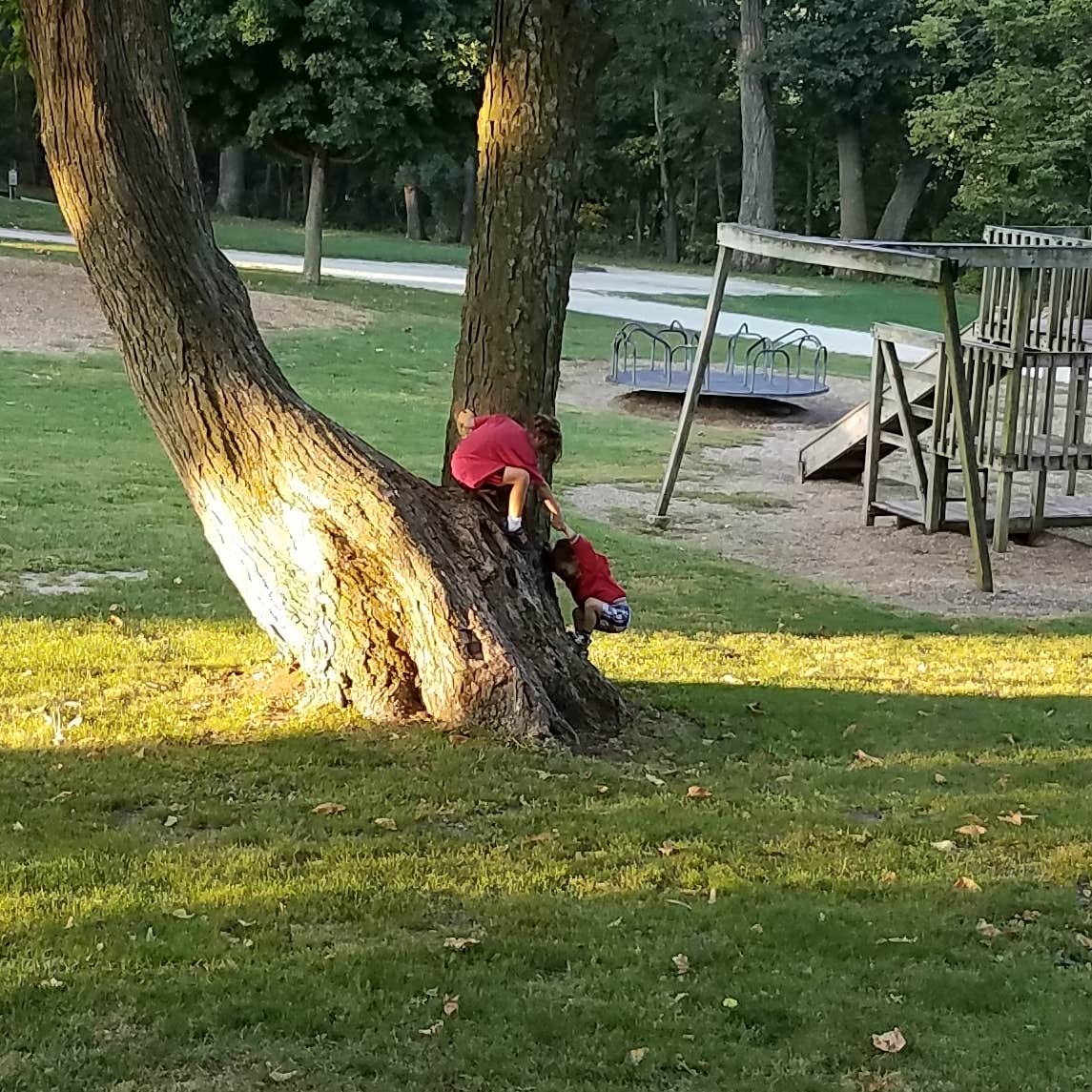 Timberline Campground Camping | The Dyrt