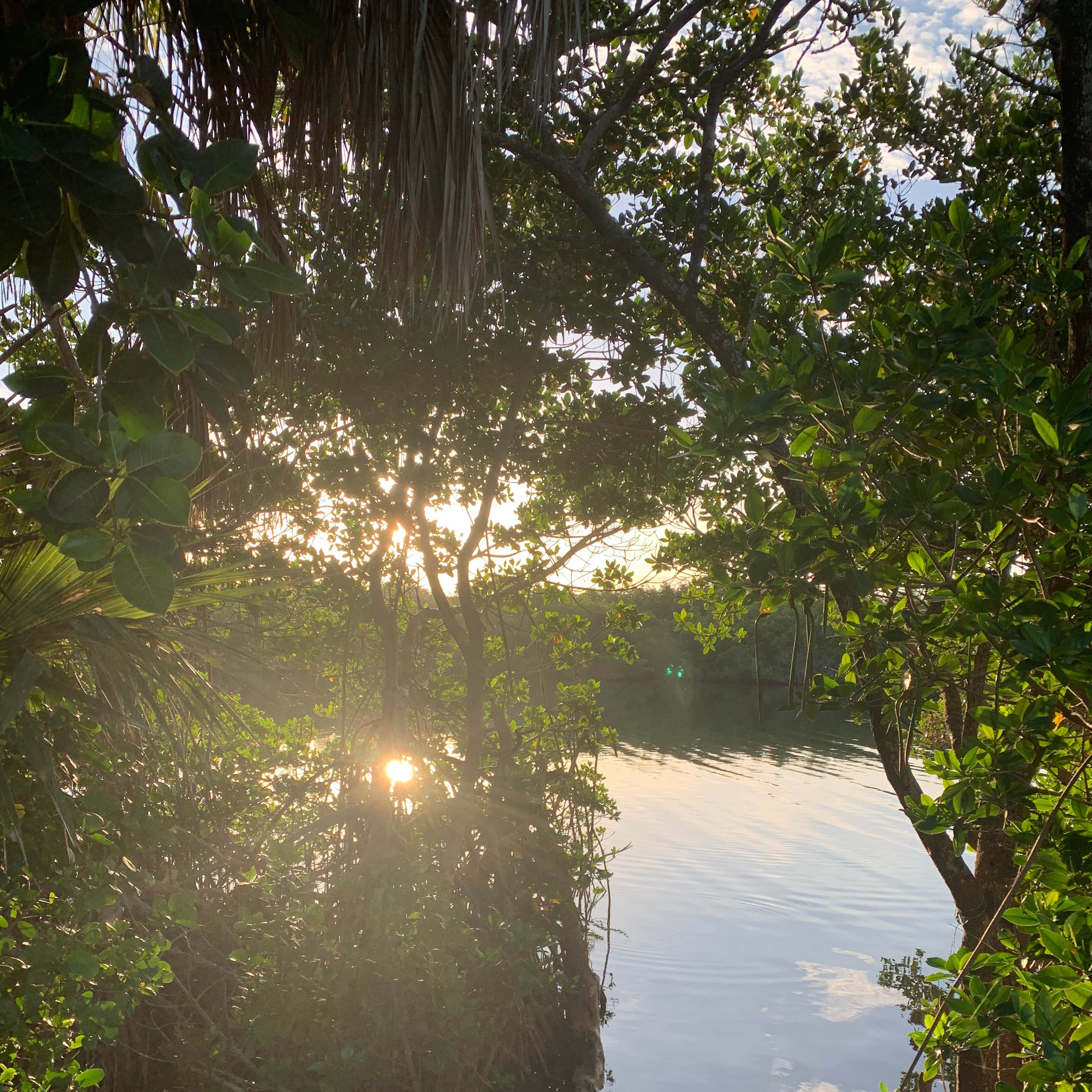 Long Point Park Campground Camping | The Dyrt