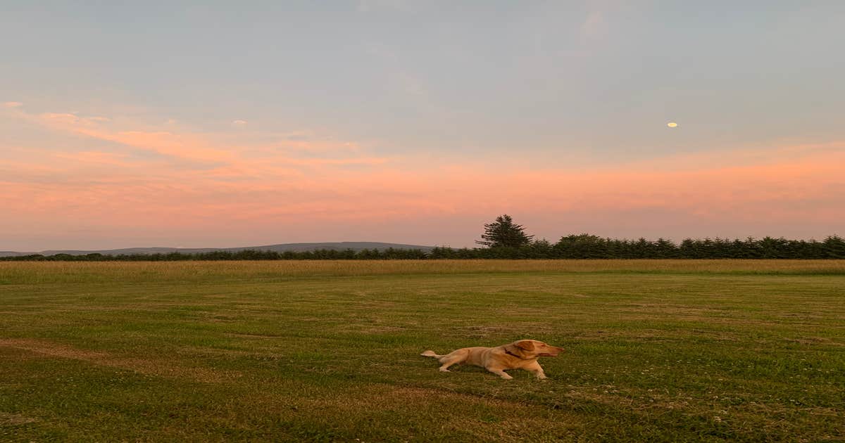 Silver Star Ranch Camping | Bridal Veil, Oregon
