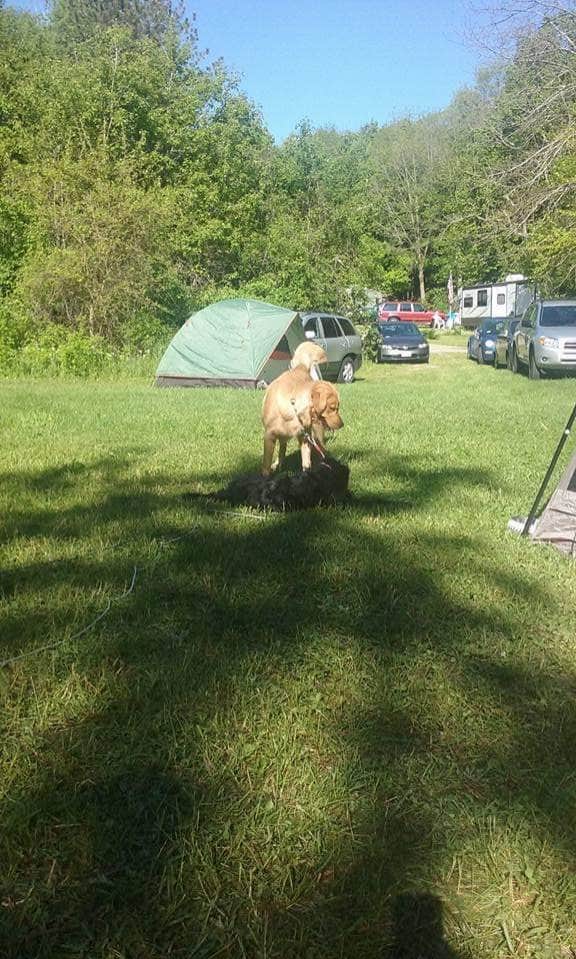 Timber Trail Campground | West Bend, WI