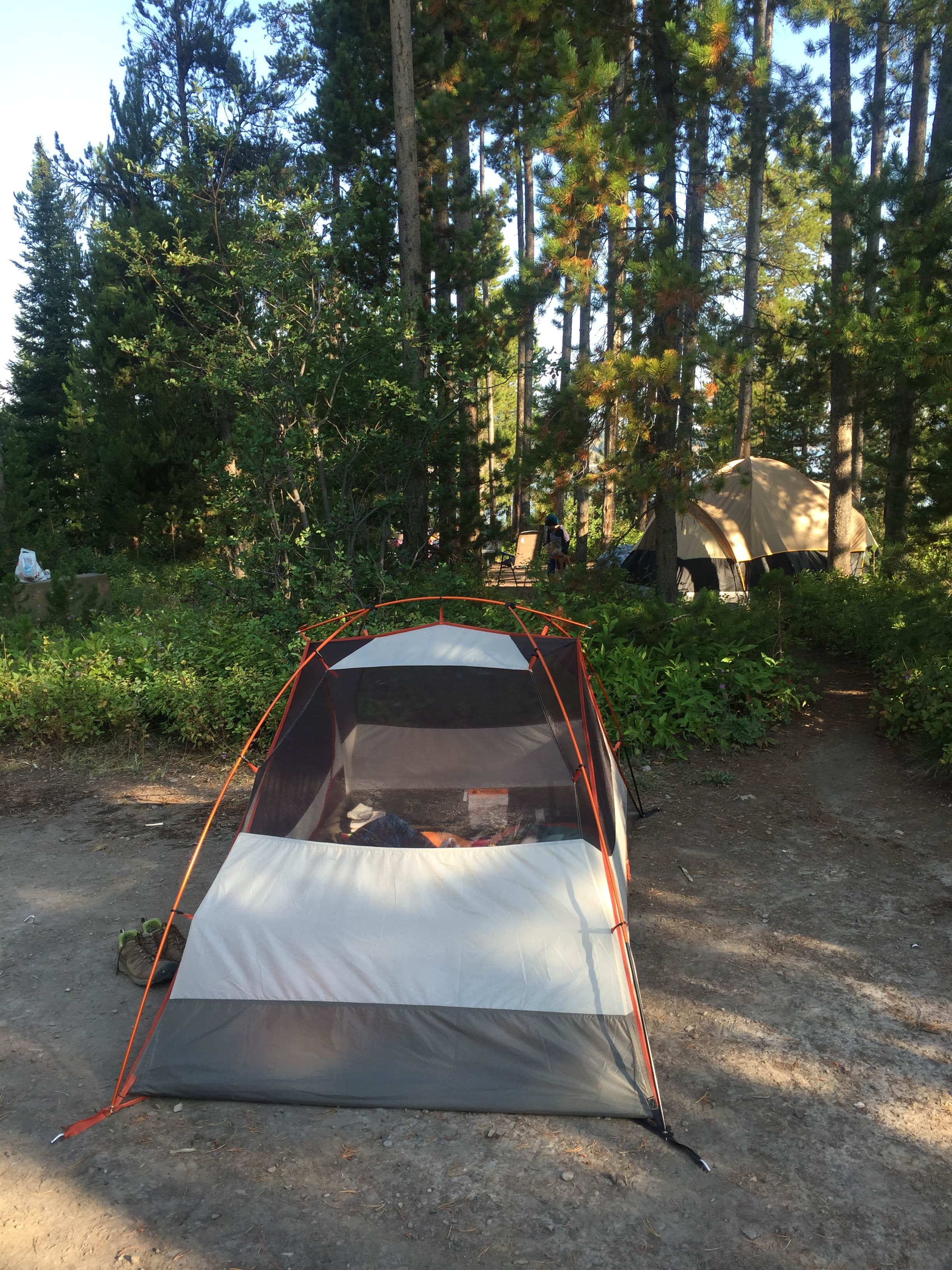 Colter Bay Campground at Colter Bay Village - Grand Teton National Park ...