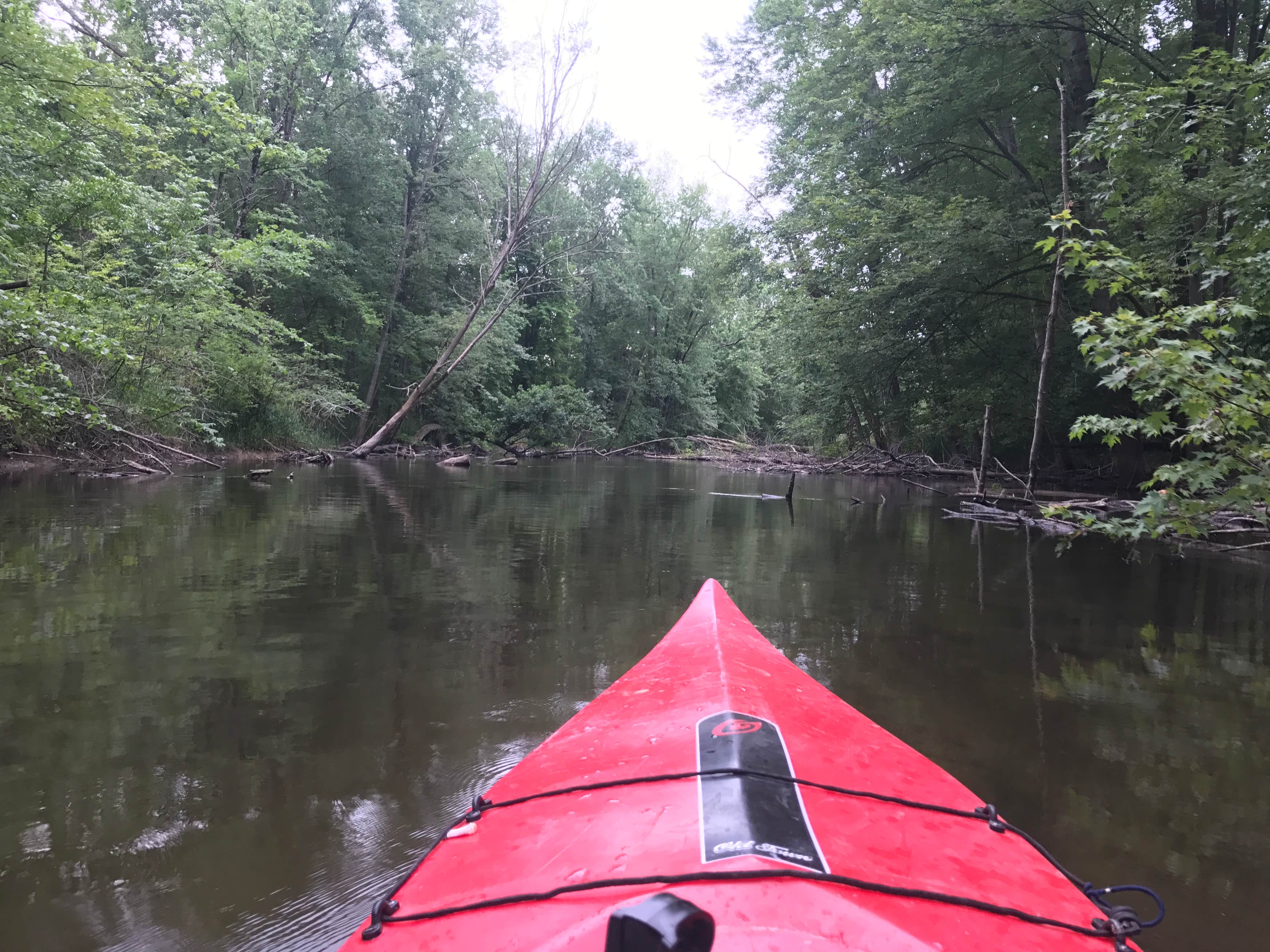 Island Lake Recreation Area | The Dyrt
