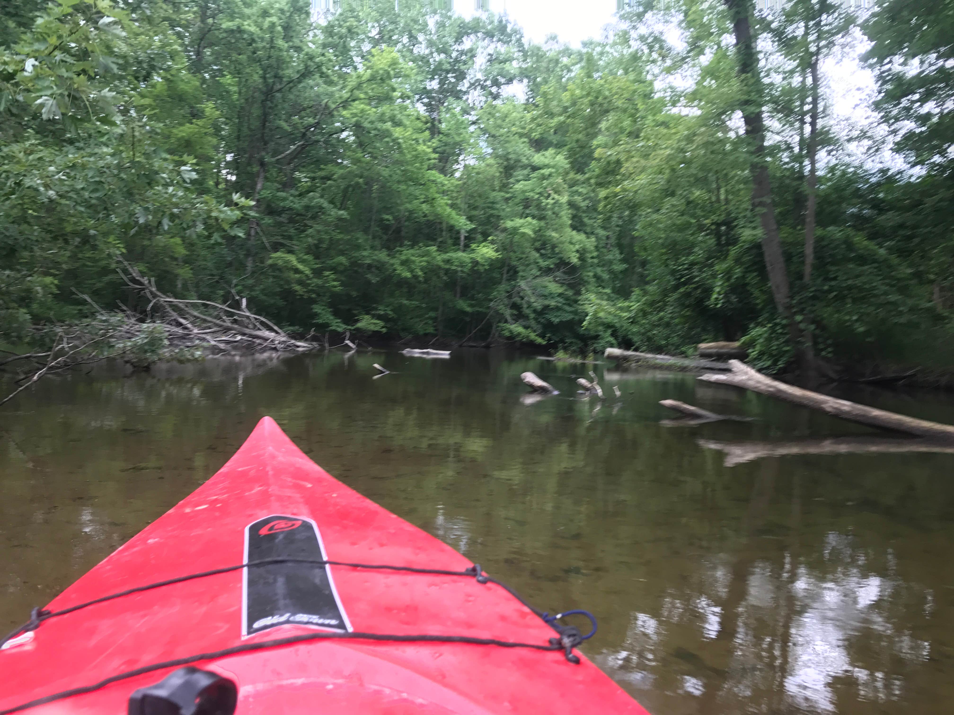 Island Lake Recreation Area Camping | Brighton, Michigan