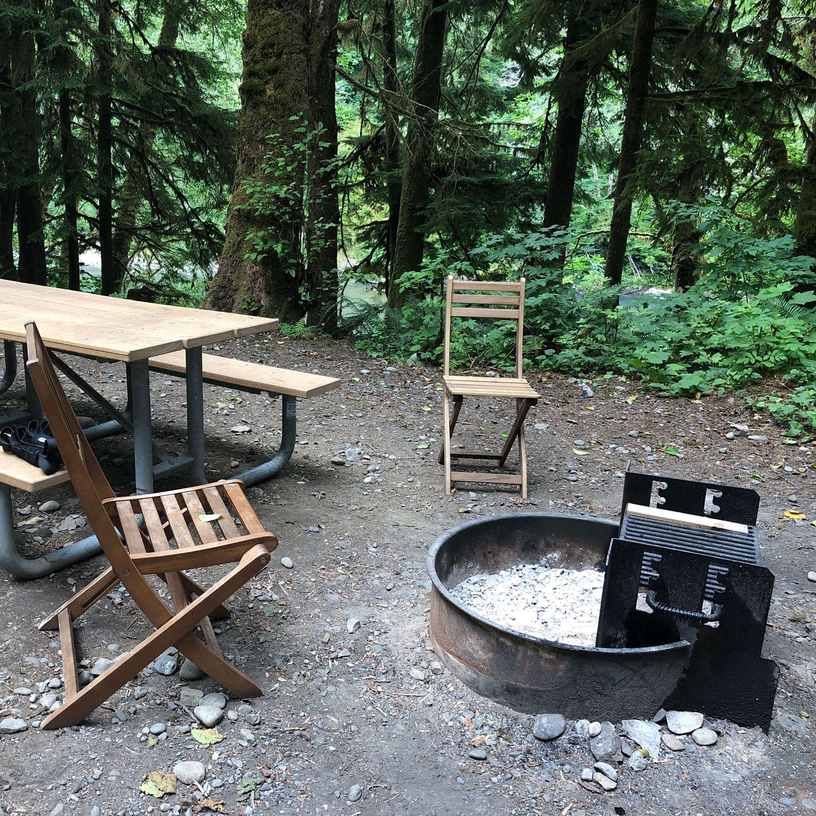 Hoh Oxbow Campground Camping | The Dyrt