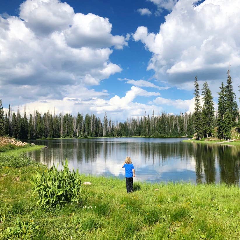 Summit Lake Camping | The Dyrt